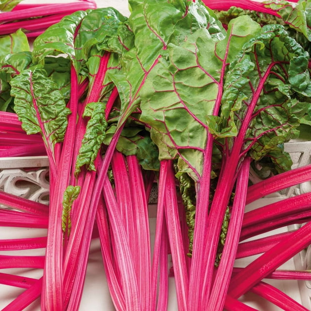 Eden Brothers Swiss Chard Seeds - Pink Lipstick - Walmart.com