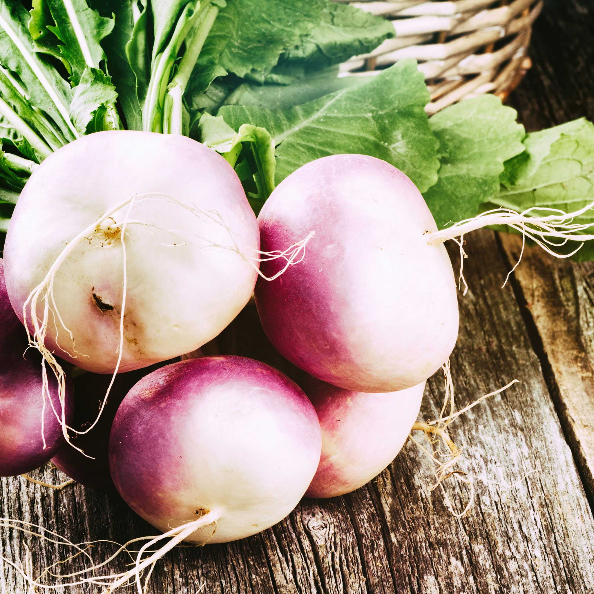 Eden Brothers Turnip Seeds (Organic) - Purple Top White Globe - Walmart.com