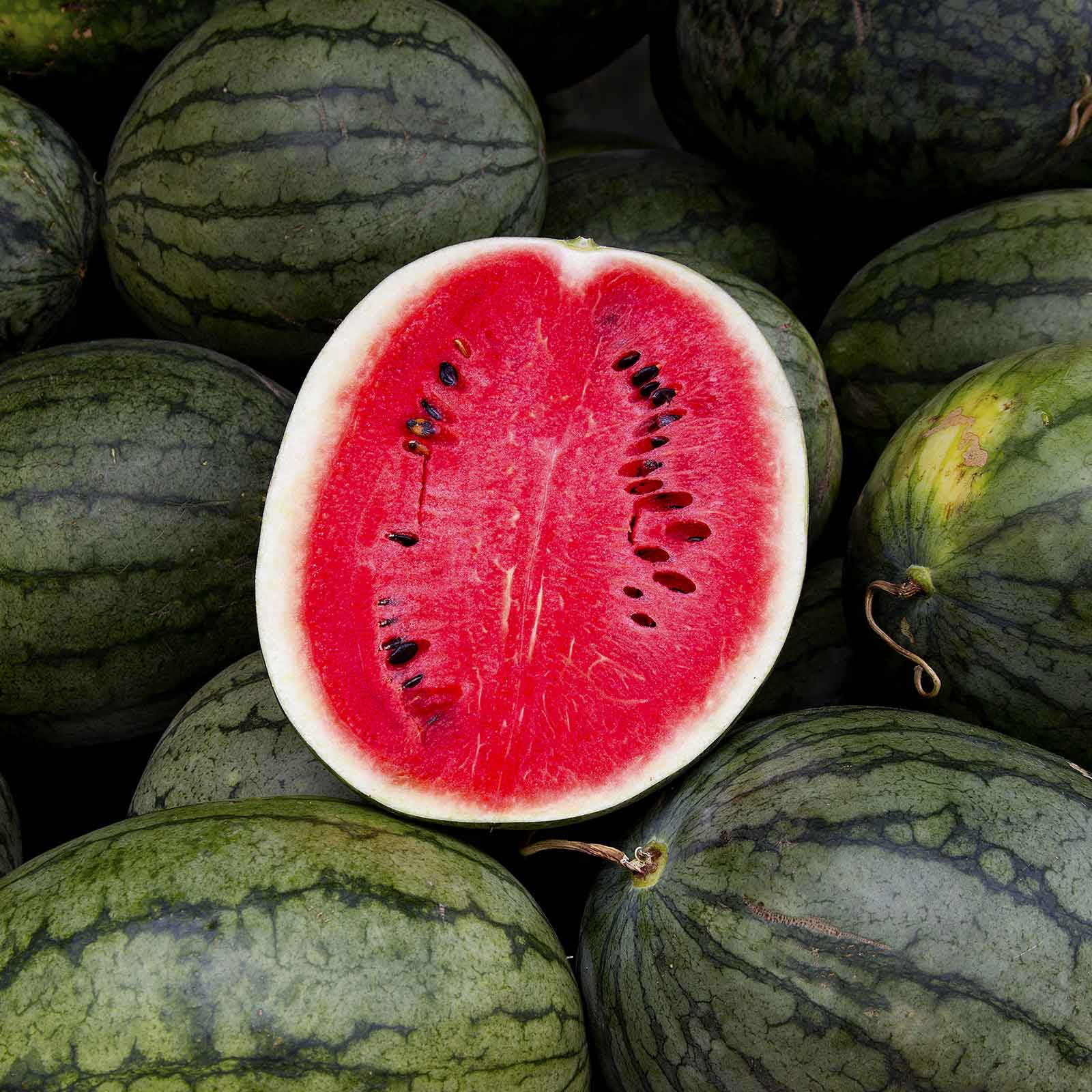 Eden Brothers Watermelon Seeds - Black Diamond Non-GMO Seeds for ...