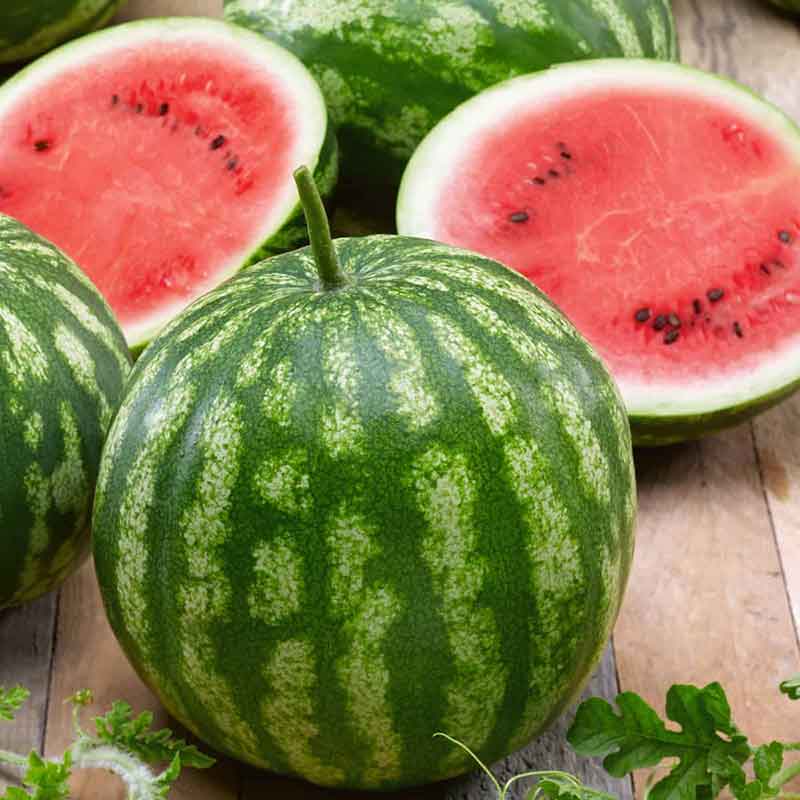 Eden Brothers Watermelon Seeds - Cal Sweet Non-GMO Seeds for Planting ...