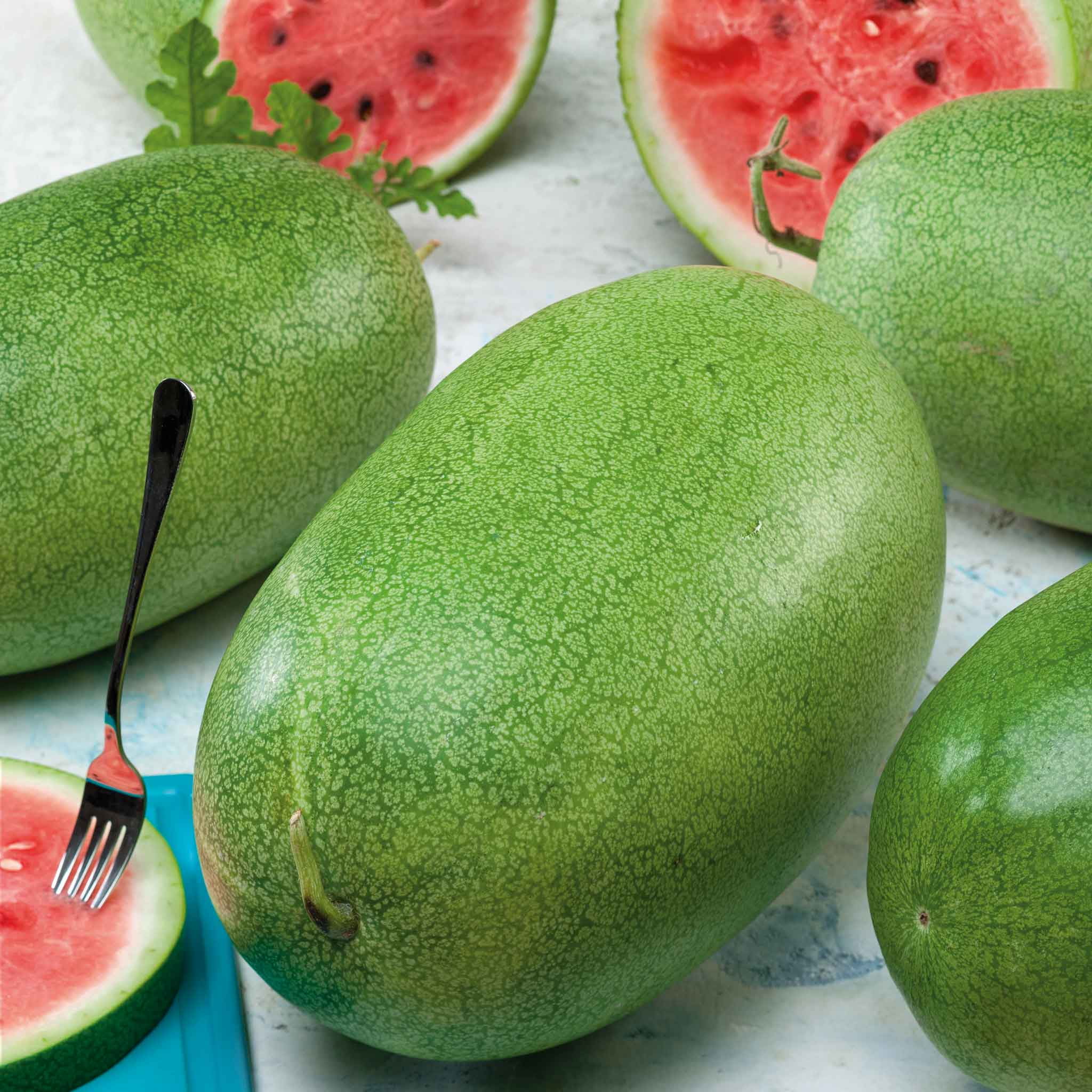 Eden Brothers Watermelon Seeds - Charleston Grey Non-GMO Seeds for ...