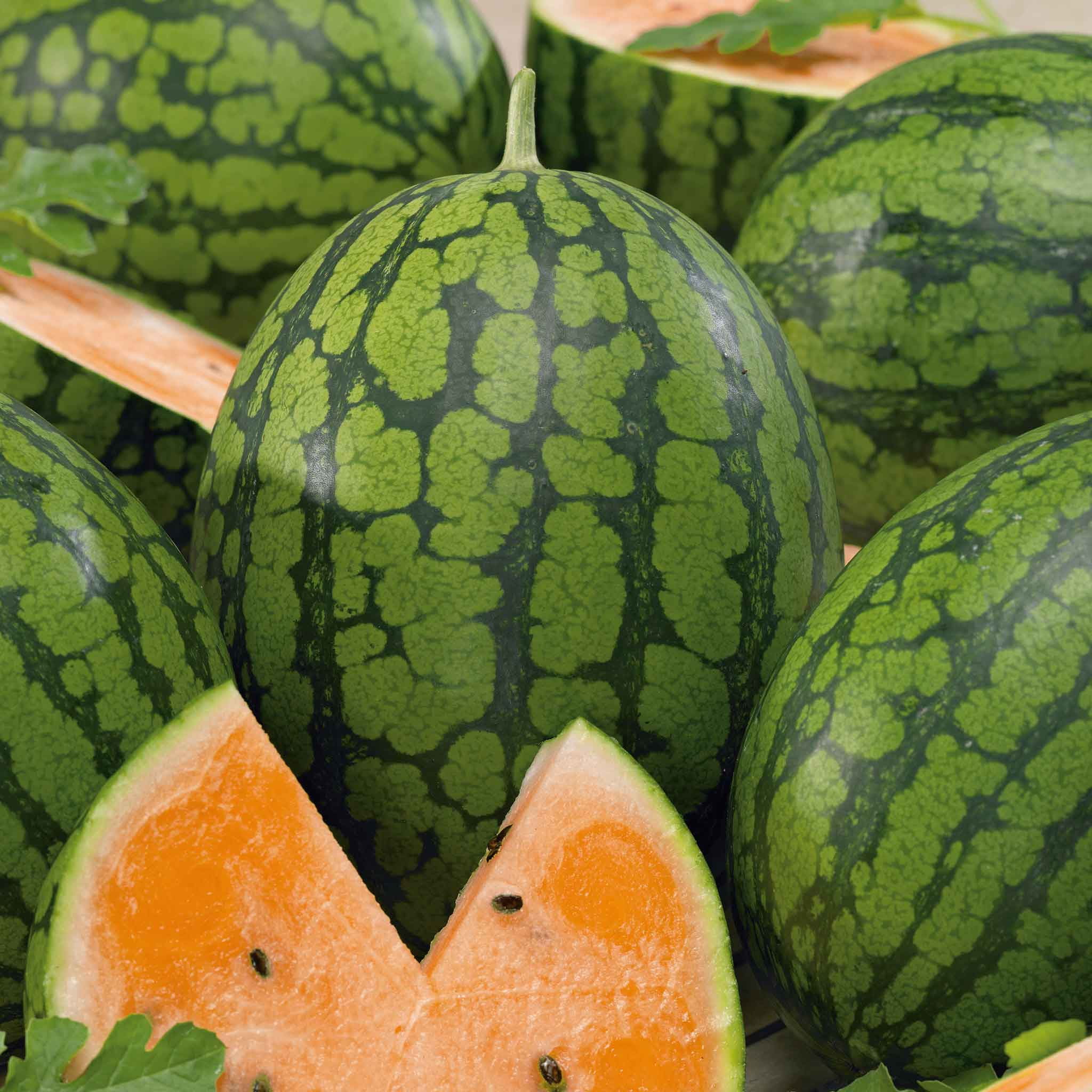 Eden Brothers Watermelon Seeds (Organic) - Tendersweet Orange Non-GMO ...