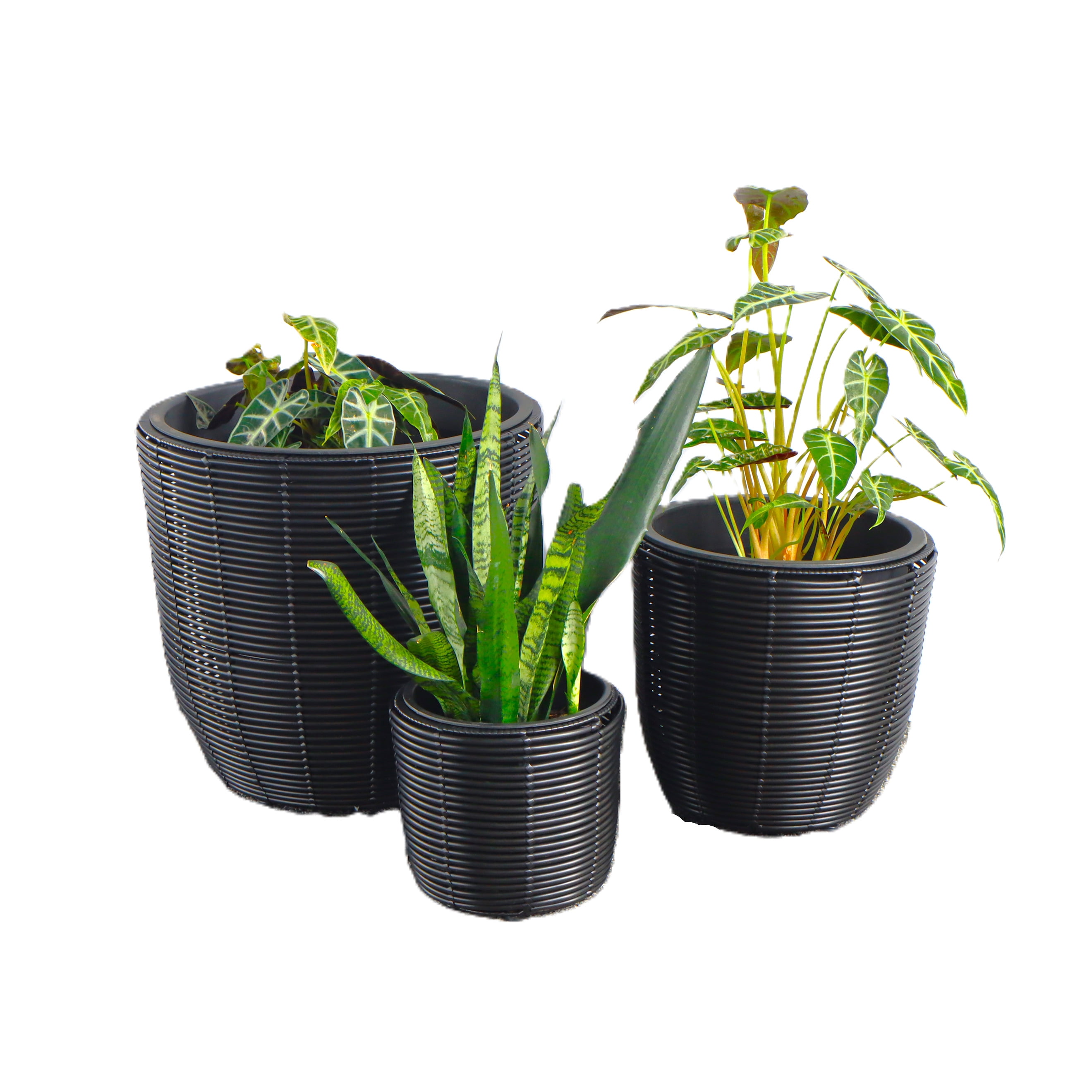 Eden Grace Set of 3 Hand Woven Round Wicker Planters - Made with Eco ...