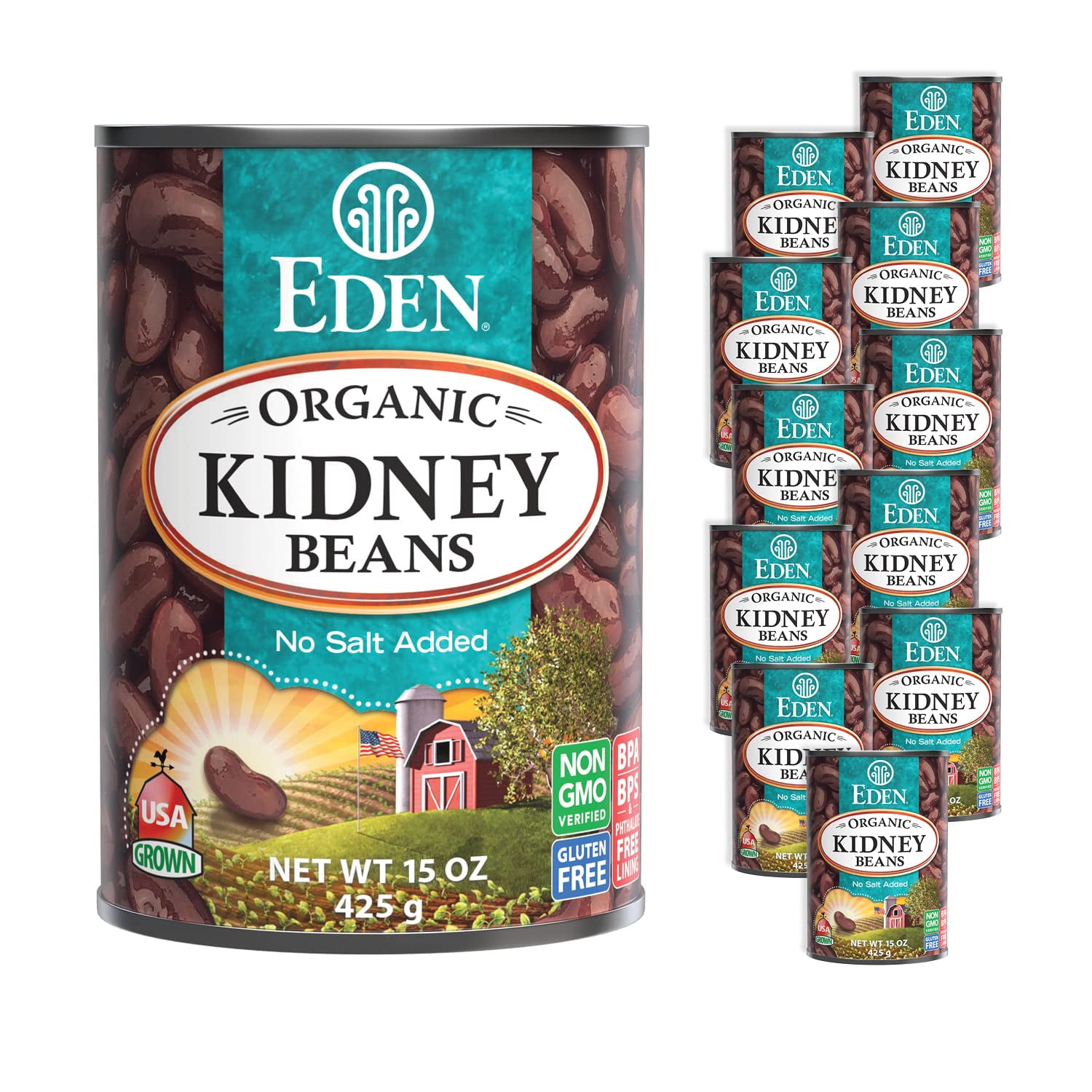 Eden Organic Red Kidney Beans, 15 oz Can, No Salt Added, Non-GMO, U.S ...