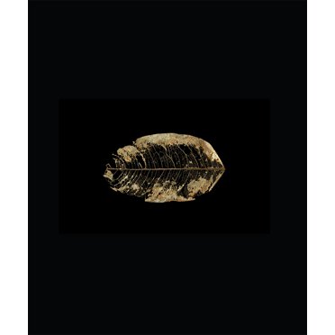 H.R. Giger: Debbie Harry Metamorphosis: Creating the Visual Concept for ...