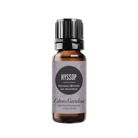 Edens Garden Hyssop Essential Oil- 100% Pure Premium Grade, Undiluted ...
