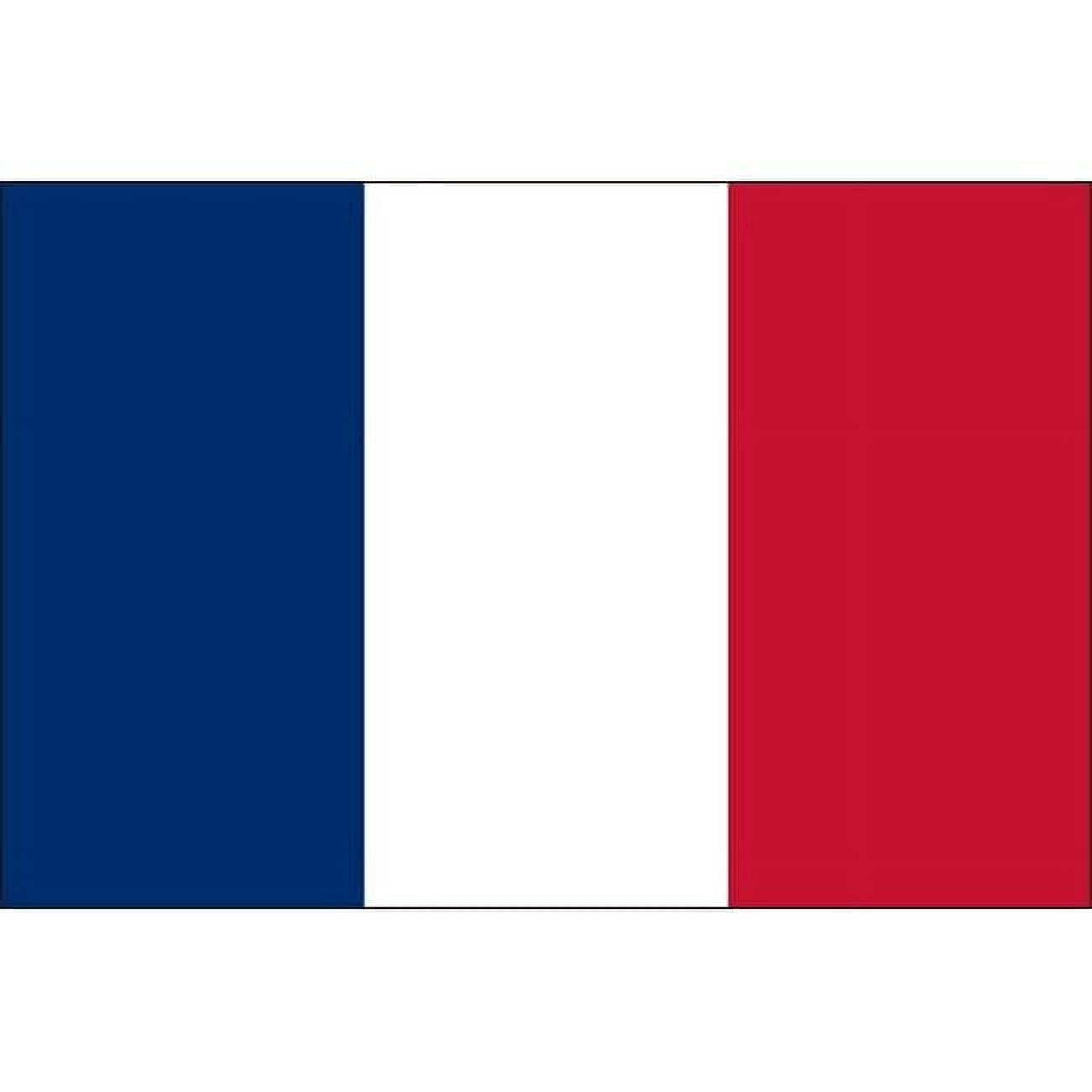Eder Flag 31553 3 x 5 ft. 200 Denier Nylon France Outdoor Flag ...