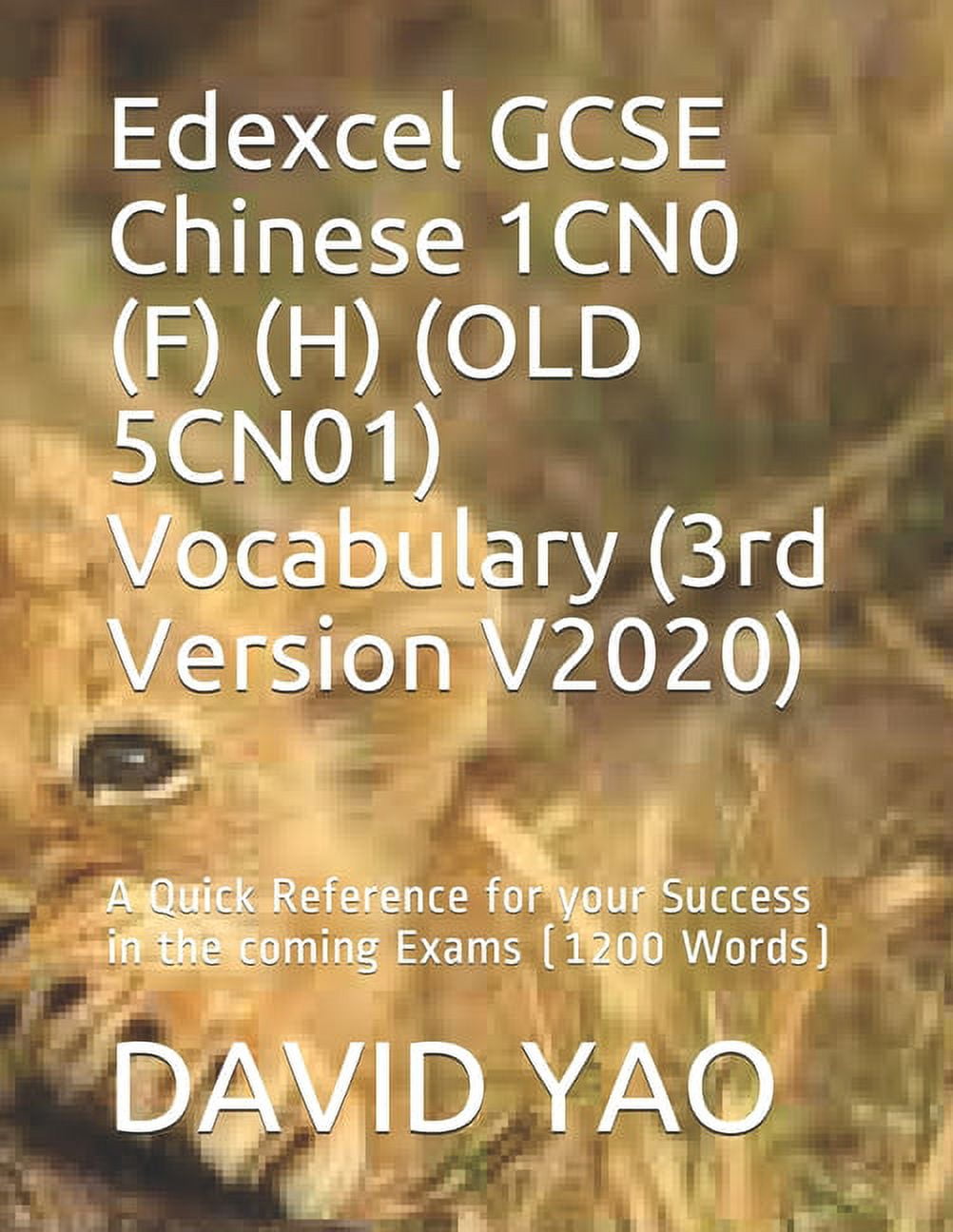 Edexcel GCSE Chinese 1CN0 (F) (H) (OLD 5CN01) Vocabulary (3rd Version ...