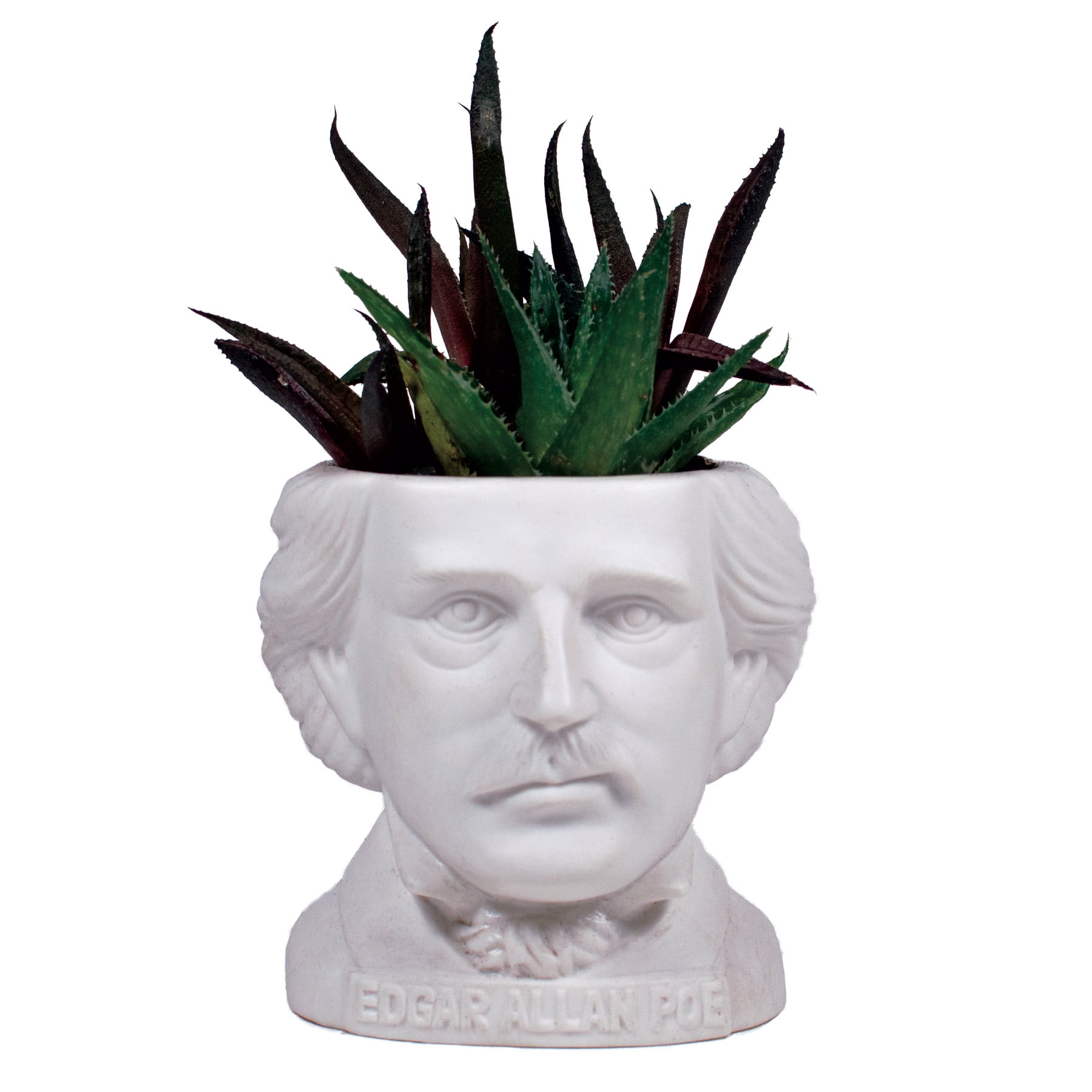 Unemployed Philosopher's Guild Edgar Allen Poe Planter - Walmart.com