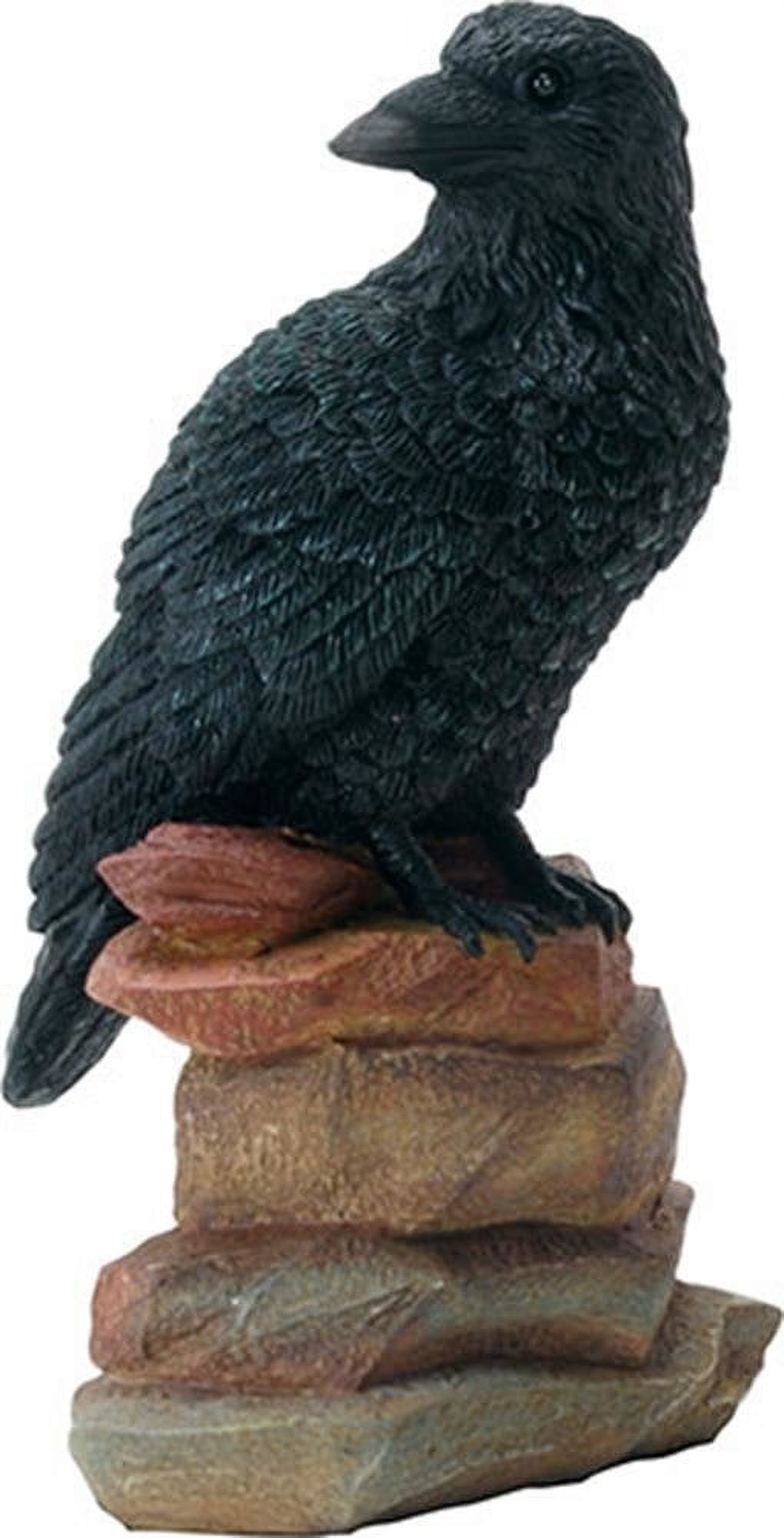 Edgar Poe Realistic Goth Raven Crow Perching On Rocks Figurine Macabre ...
