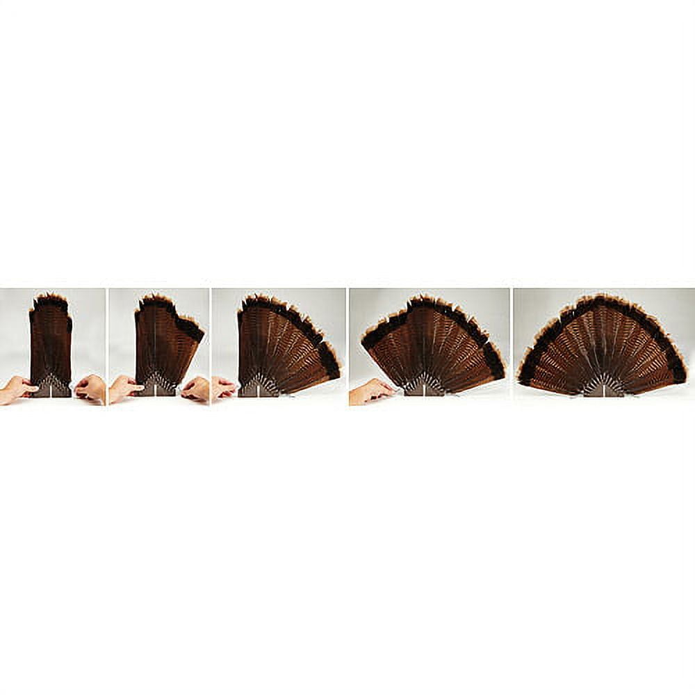 Turkey Tail Fan Logo