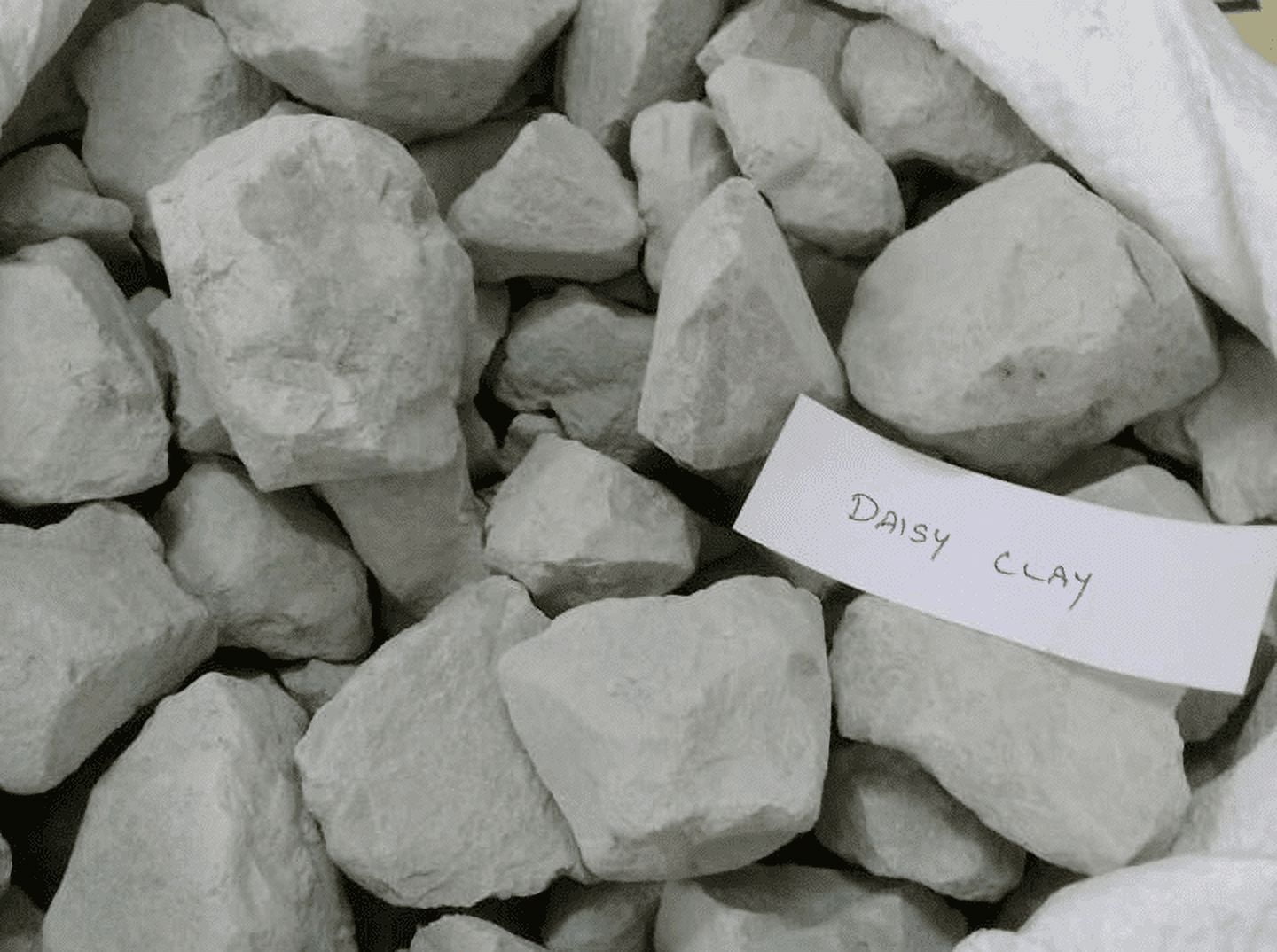 India Clay Daisy Clay 200 Grams - Walmart.com