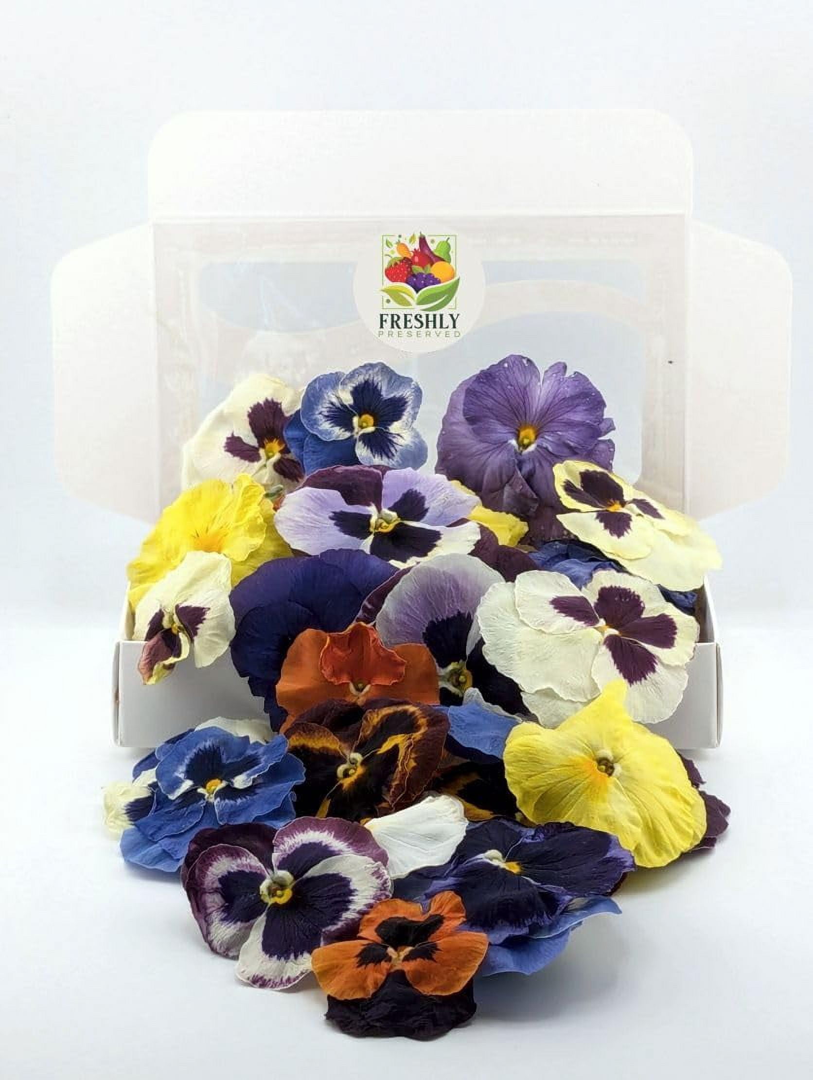 Edible Flower Freshly Preserved Freeze-Dried 0.2 oz. | Edible Pansy ...