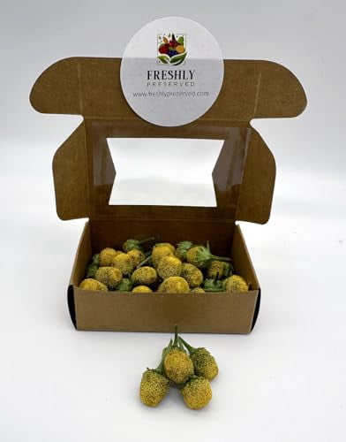 Edible Flower Freshly Preserved Freeze-dried Buzz Button Szechuan ...