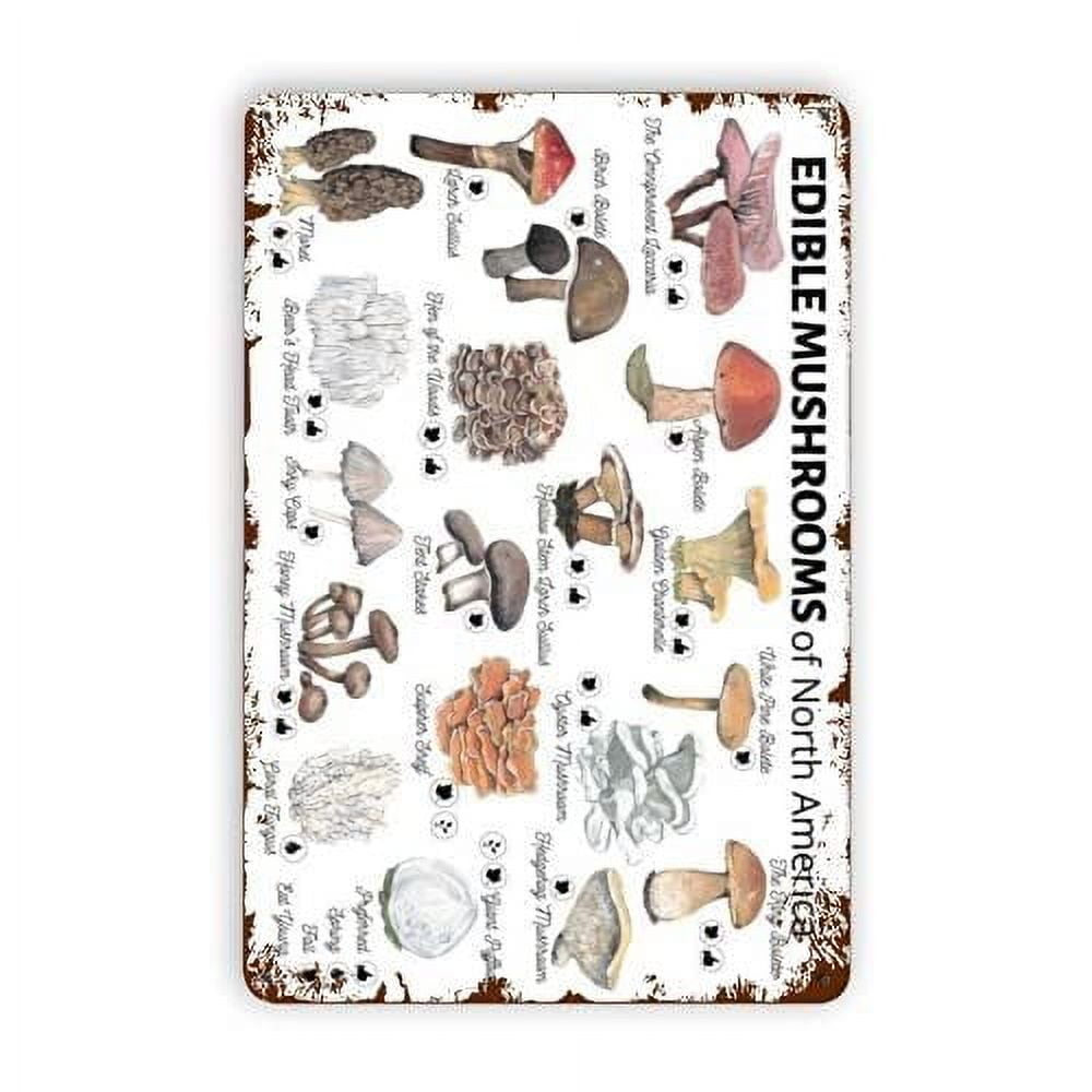 Edible Mushroom Guide Mushroom Lovers Gift Educational Poster Cabin ...