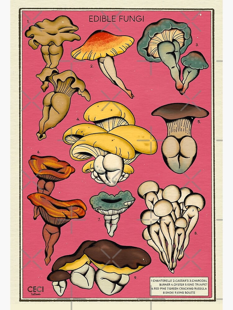 Edible Sexy Mushrooms Chart Canvas Poster Decor Landscape Office Room Decor T