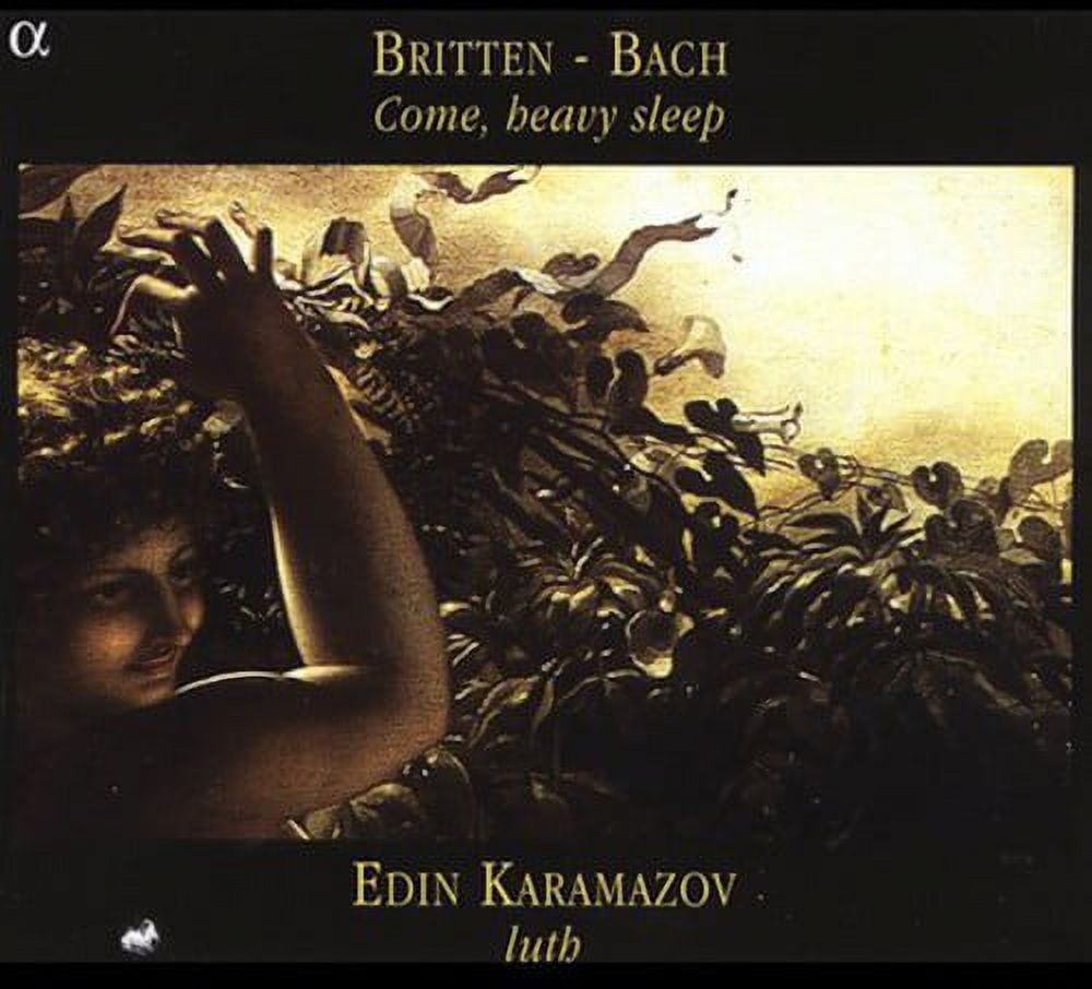 Edin Karamazov - Come Heavy Sleep - Music & Performance - CD - Walmart.com