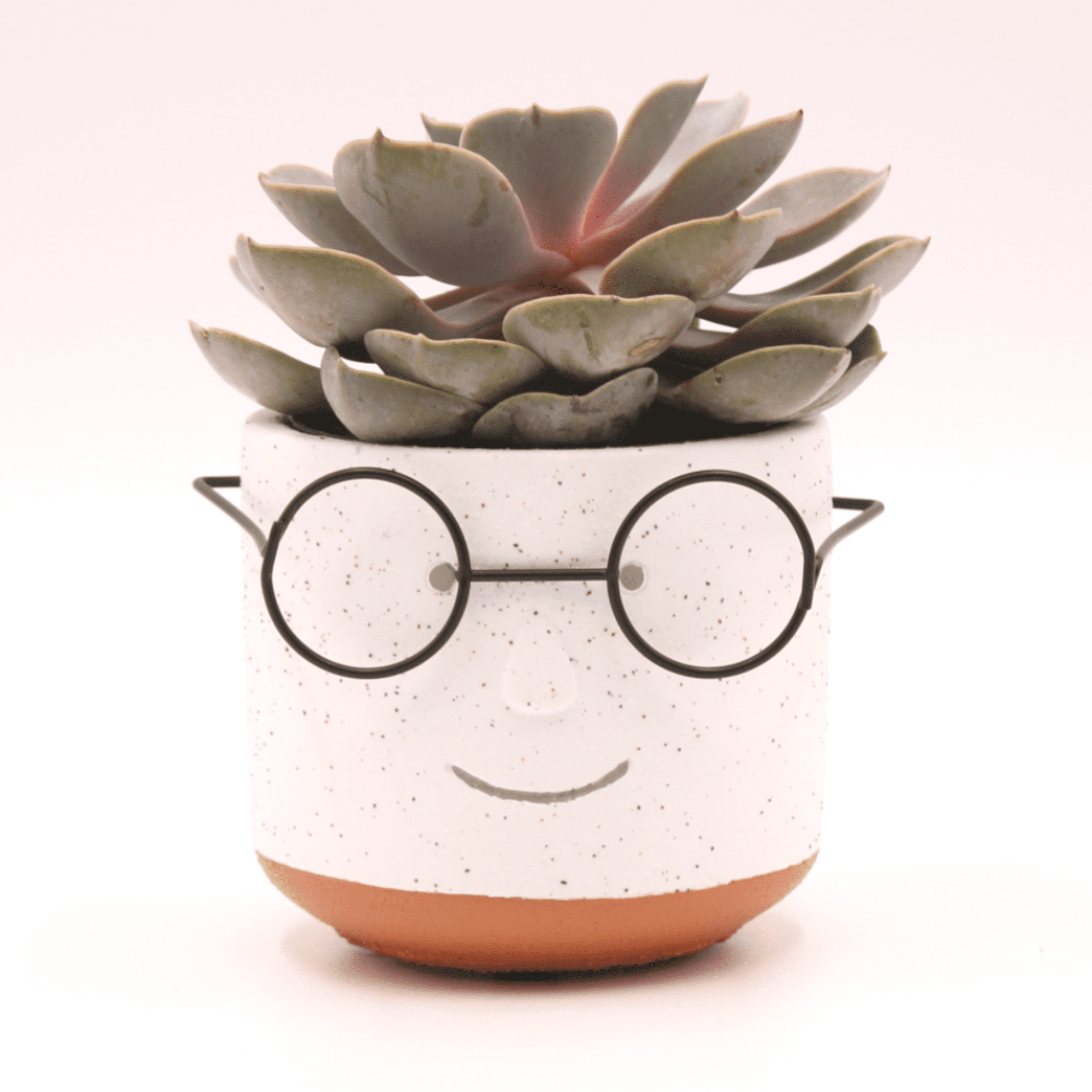 Edington Decor Face Planter Pot, Head Planter Pot, Succulent Pot with ...