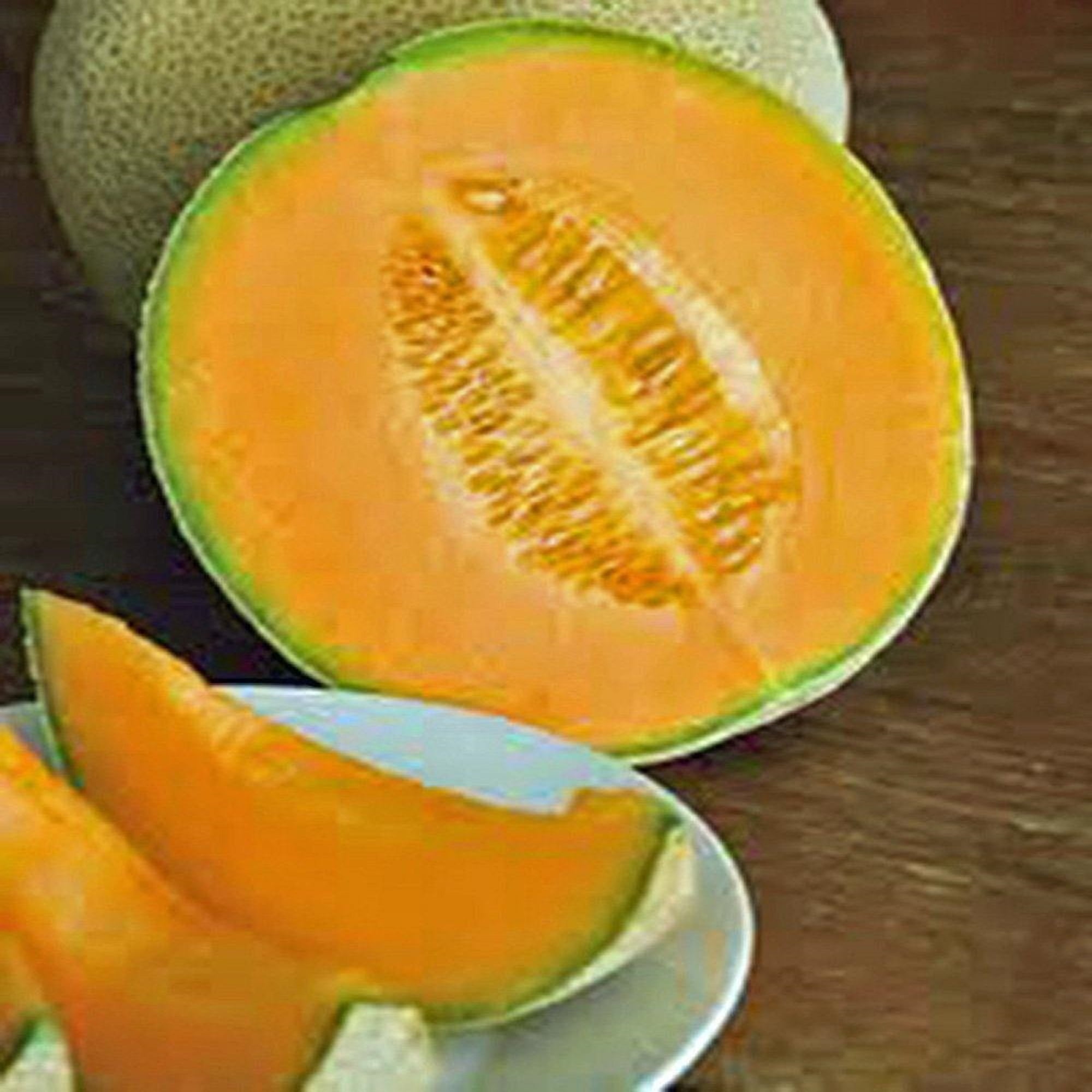 Edisto 47 Sweet Muskmelon, Cantaloupe Seeds - 100 Count Seed Pack - The ...