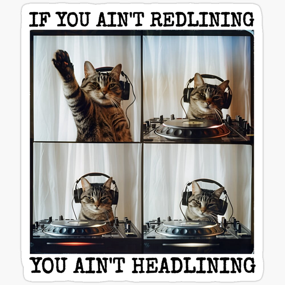 Edm Music Cat Dj Glossy Stickerphone Decal Water Bottle Stickers, Vinyl ...