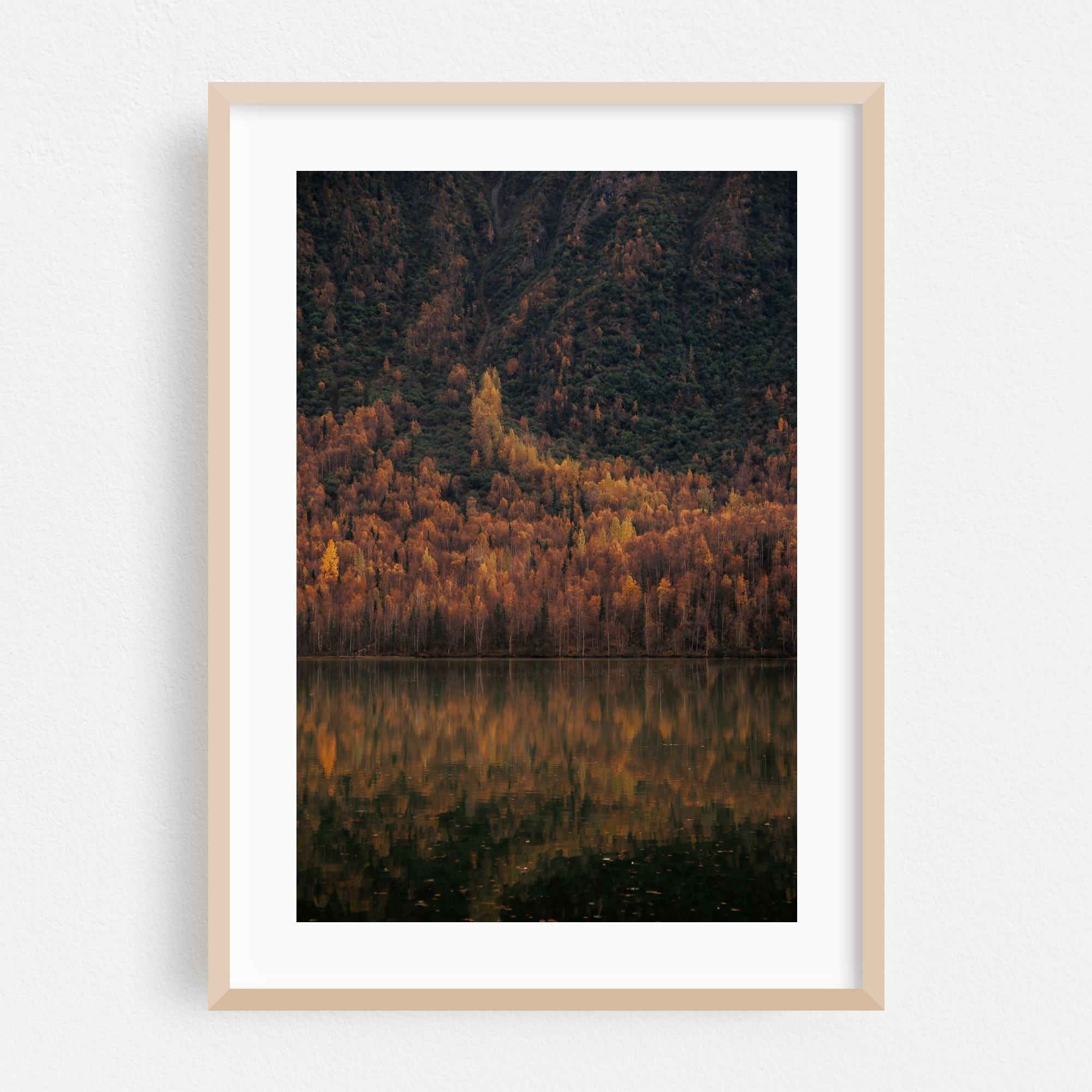 Edmonds Lake - Anchorage Alaska Photography Autumn Forest Nature Lake ...