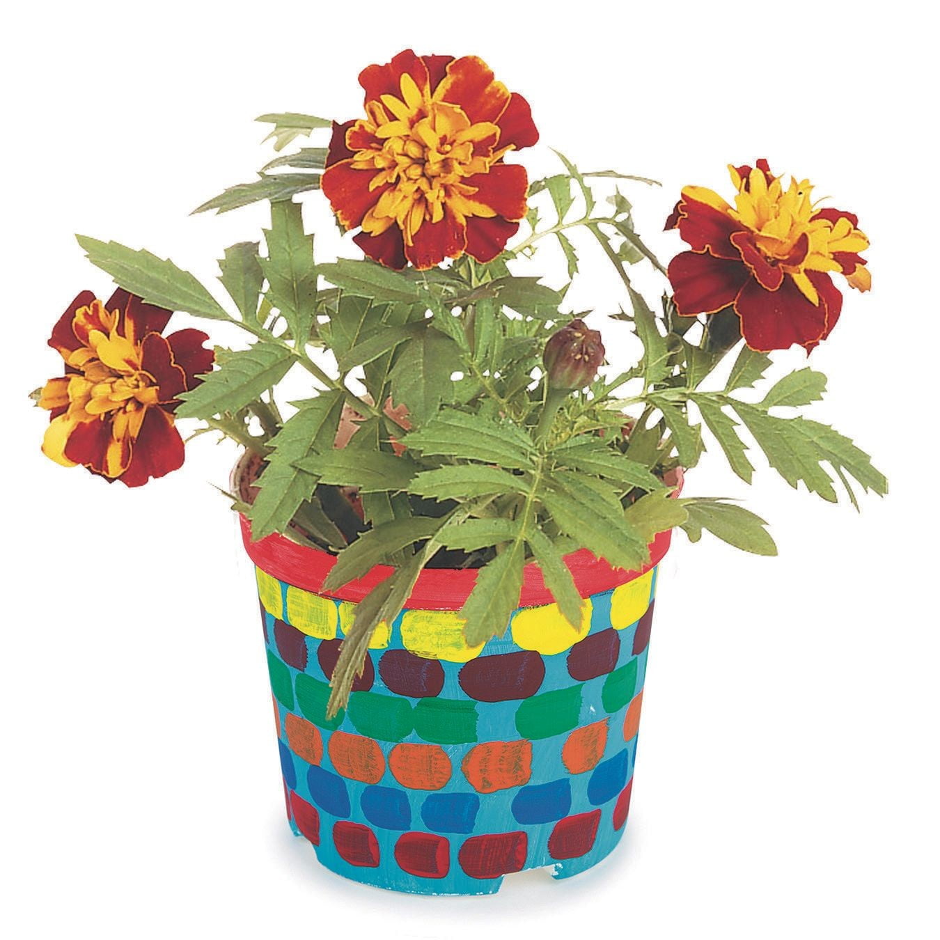 EduCraft® Authentic Flower Garden Craft Kit (Pack of 50) - Walmart.com