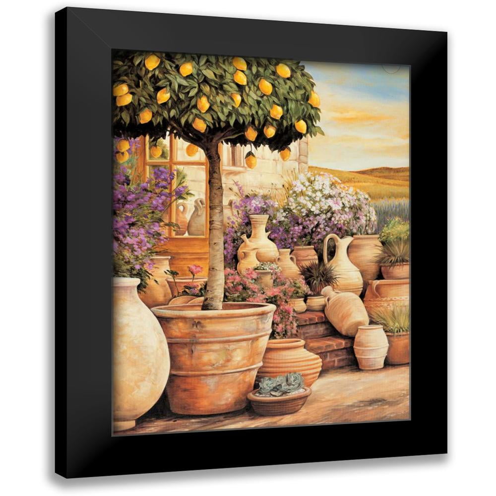 Eduardo 19x24 Black Modern Framed Museum Art Print Titled - Lemon ...