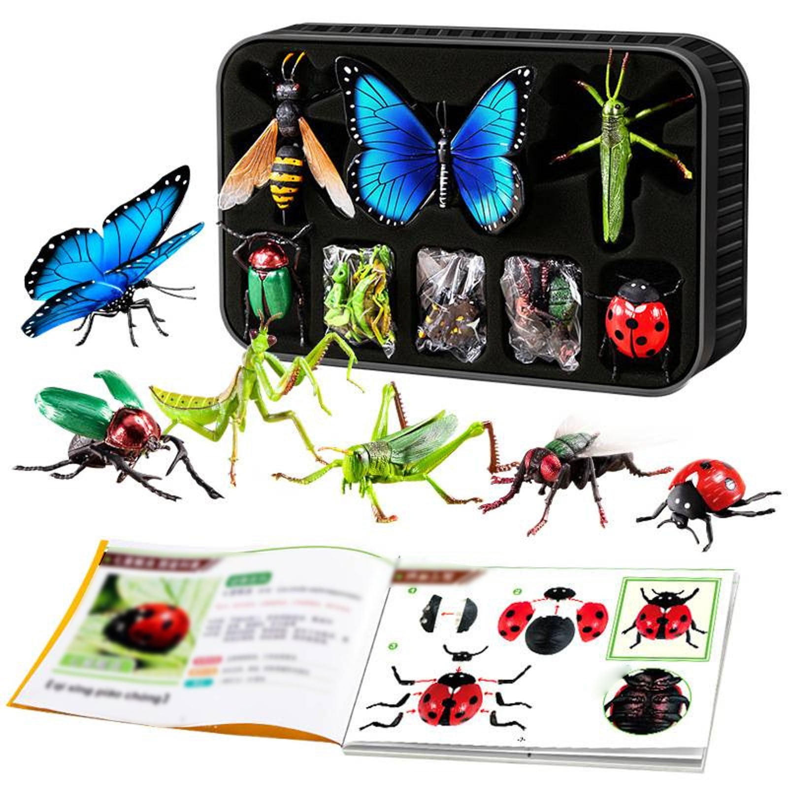 Educational 3D Cartoon Puzzles,3D Animal Learning Educational Paper ...