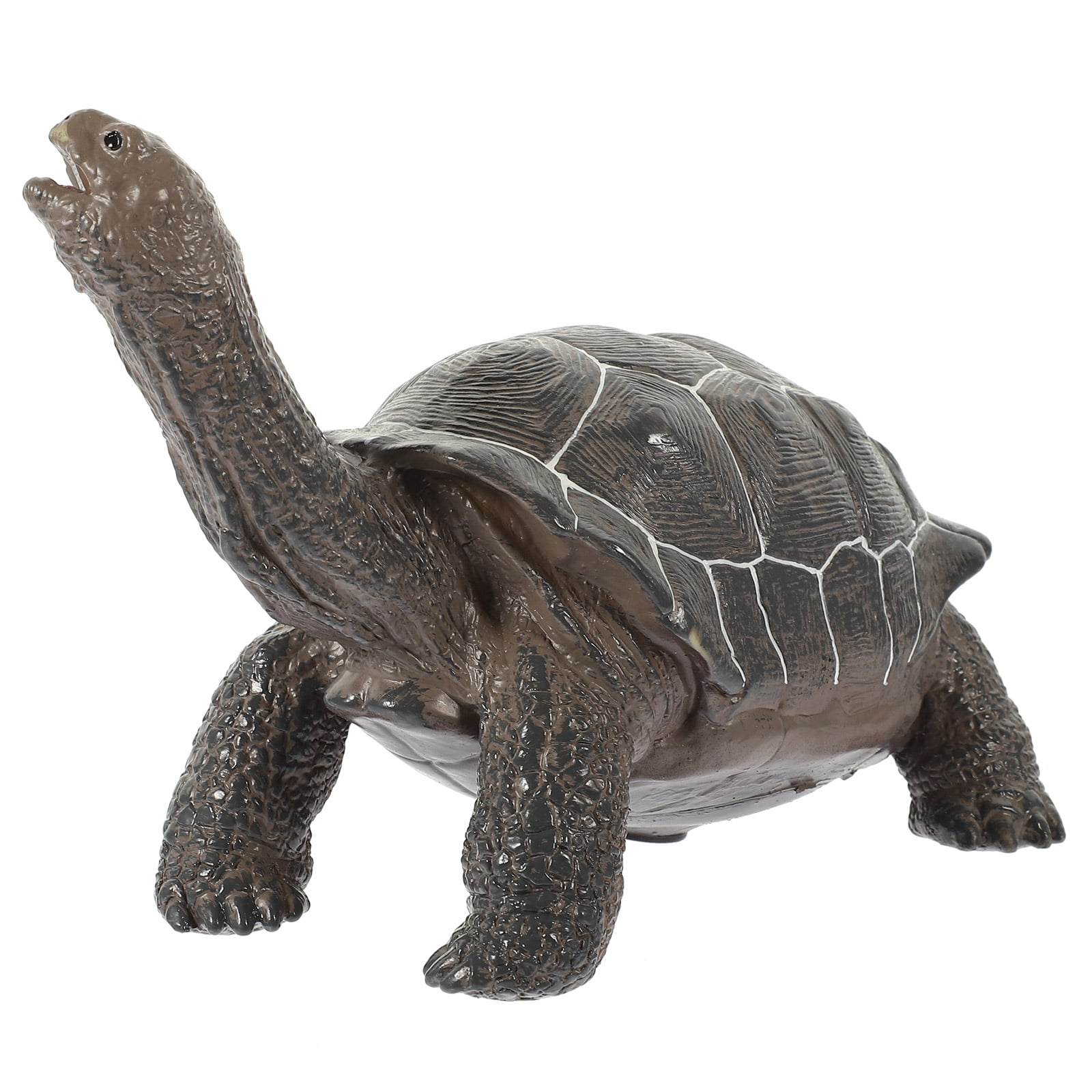 Educational Animal Model Realistic Turtle Design Child - Walmart.com