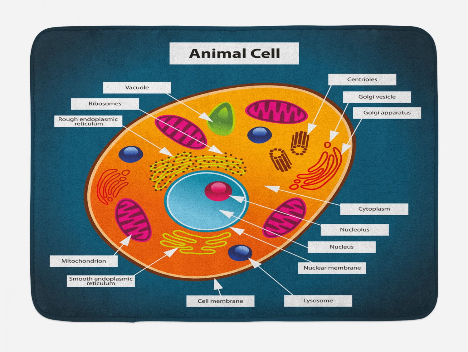 Educational Bath Mat, Science at School Cell of an Animal Colorful ...