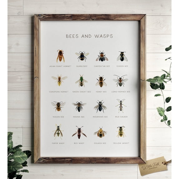 Educational Bugs Bees And Wasps Postermontessori Homeschool Decor ...