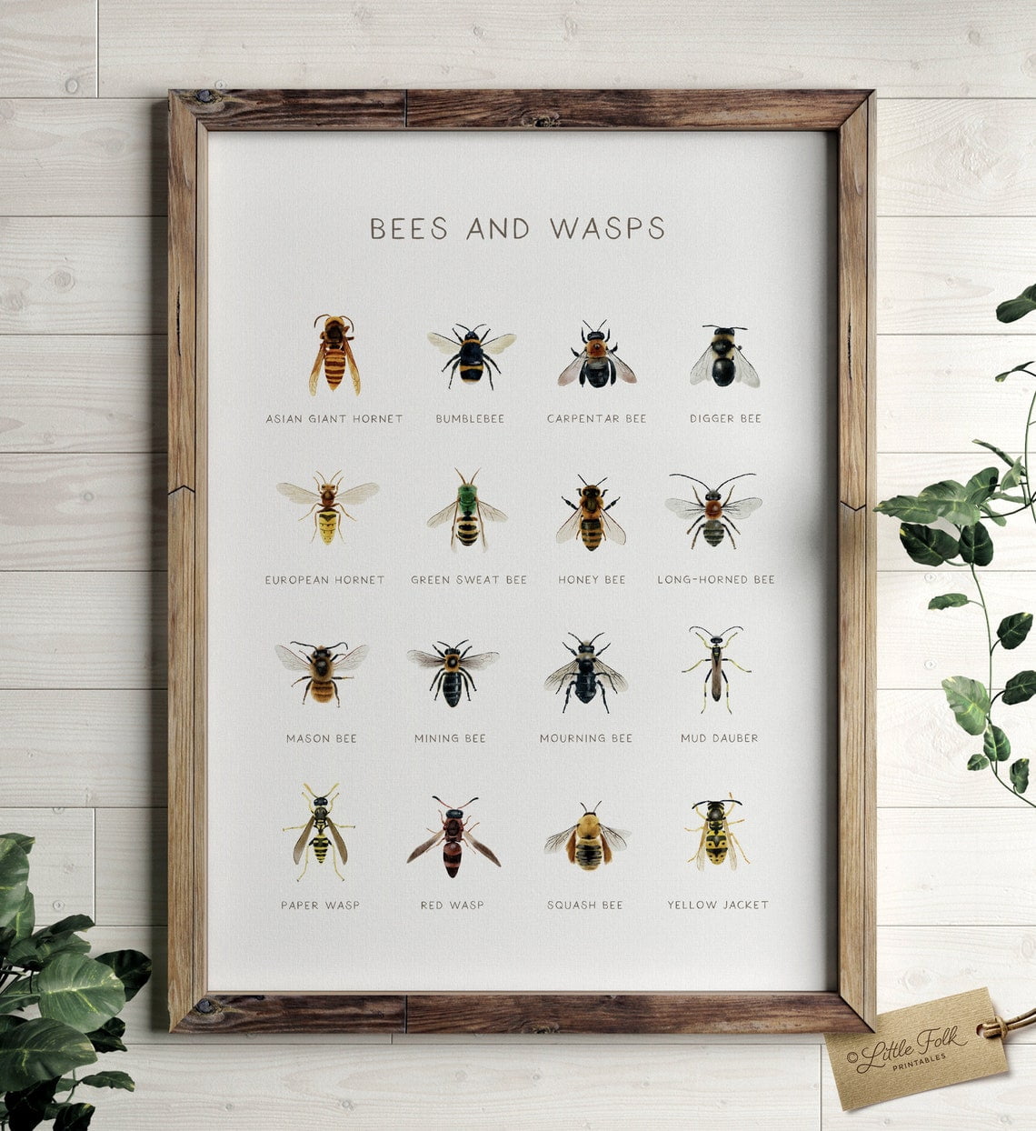 Educational Bugs Bees And Wasps Postermontessori Homeschool Decor ...