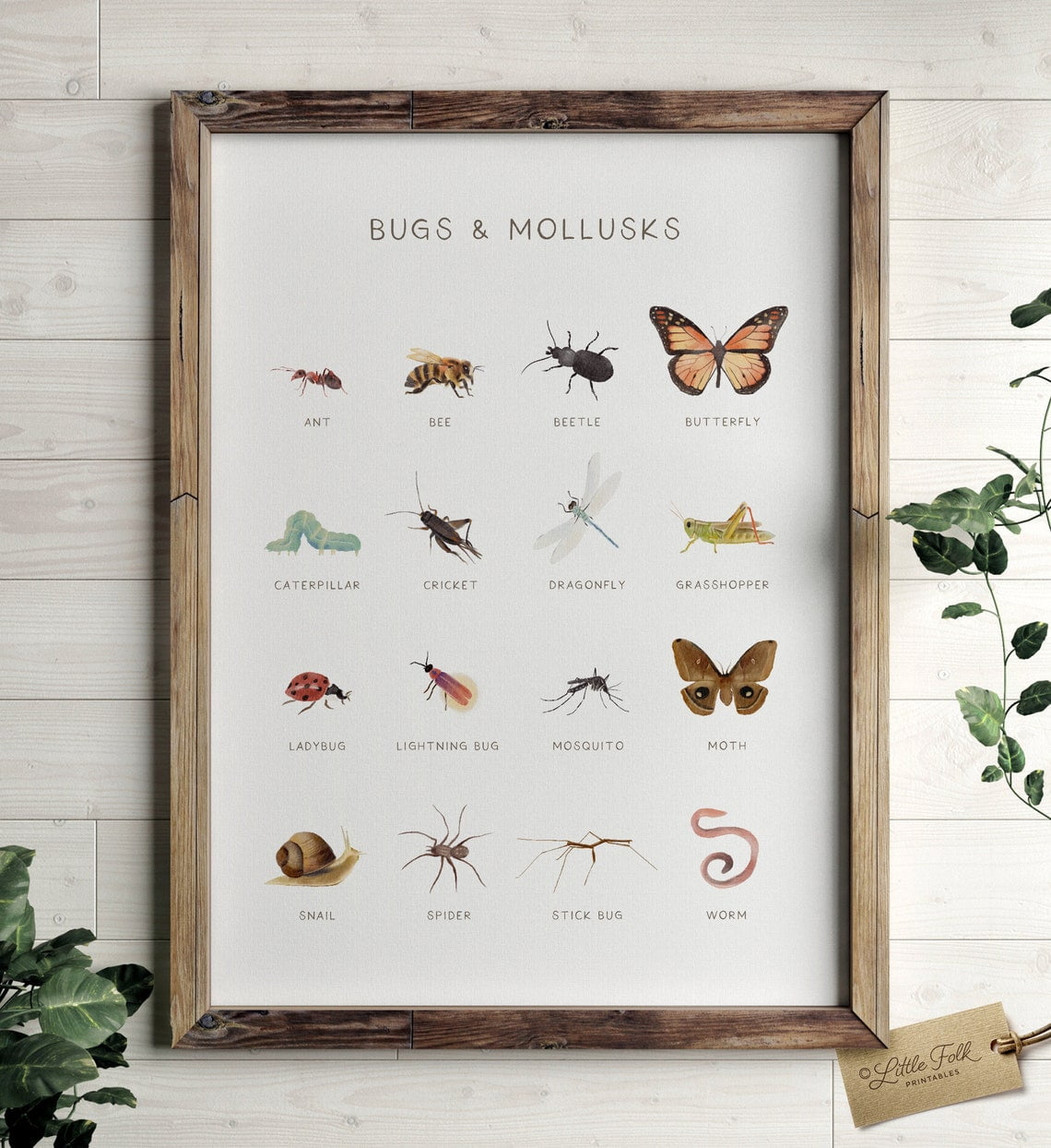 Educational Bugs Insects Postermontessori Homeschool Decor Nature ...