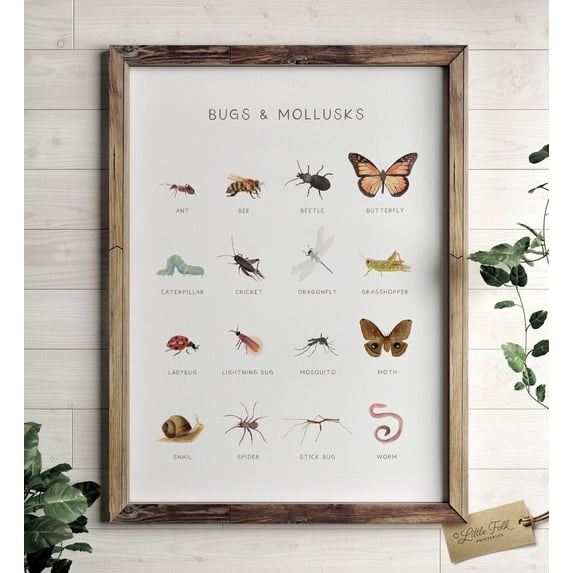 Educational Bugs Insects Postermontessori Homeschool Decor Nature ...