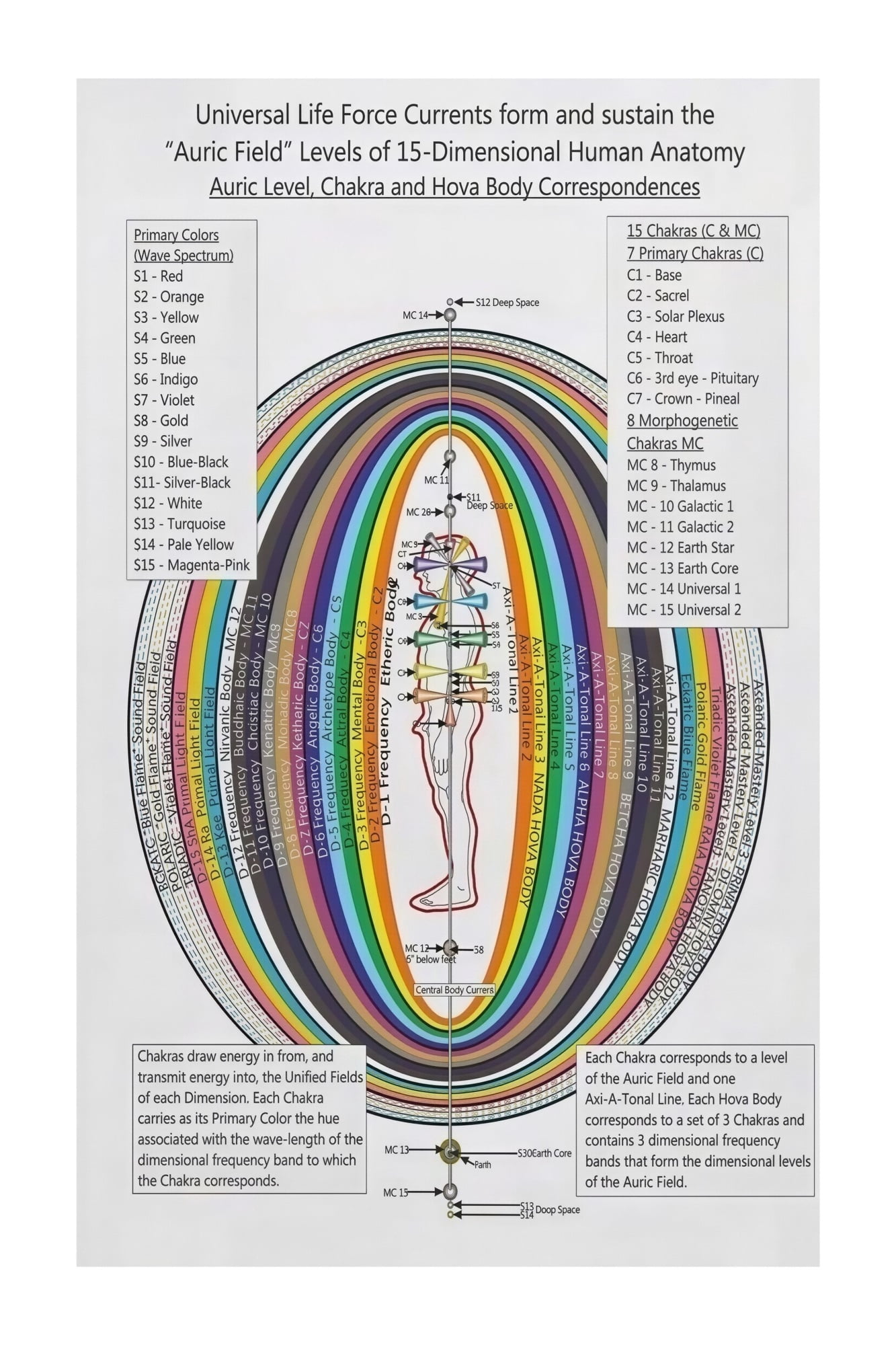 Educational Chart Human Energy System Subtle Body Anatomy Poster ...