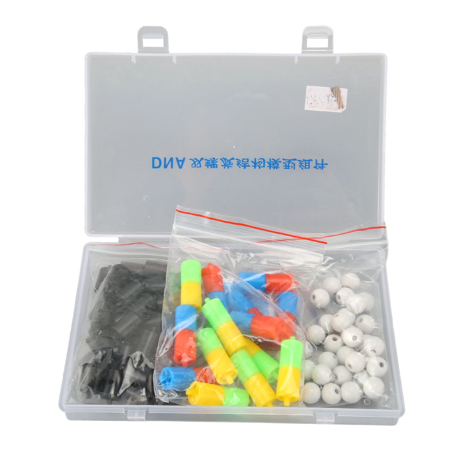 Educational DNA Kit, Build Learn Molecular Structure, Hands,On Science ...