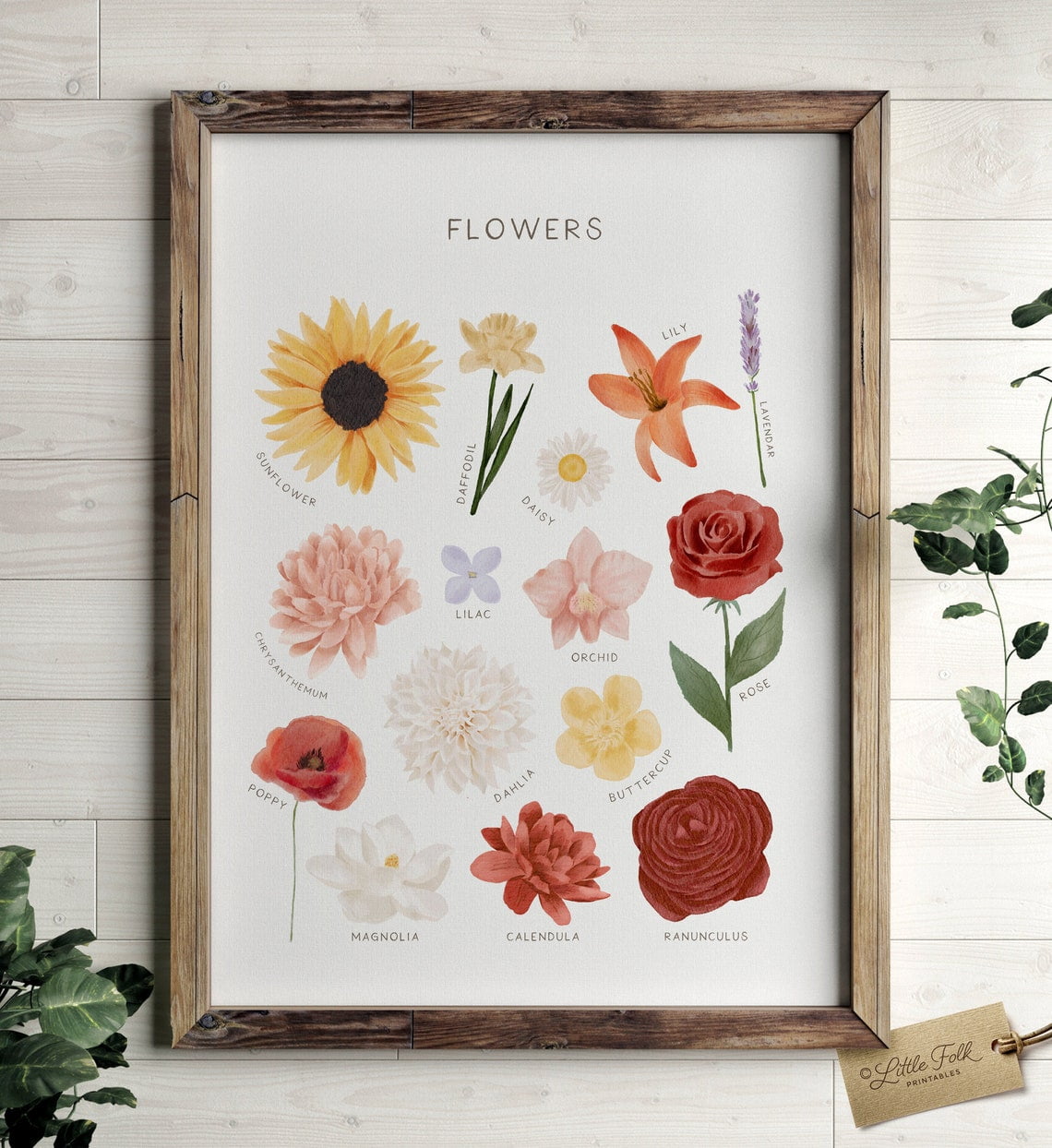 Educational Flowers Flower Postermontessori Homeschool Decor Nature ...