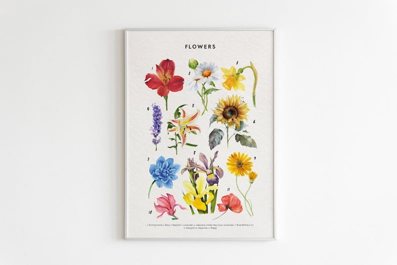 Educational Flowers Poster | Montessori | Botanical Wall Art | Nature ...