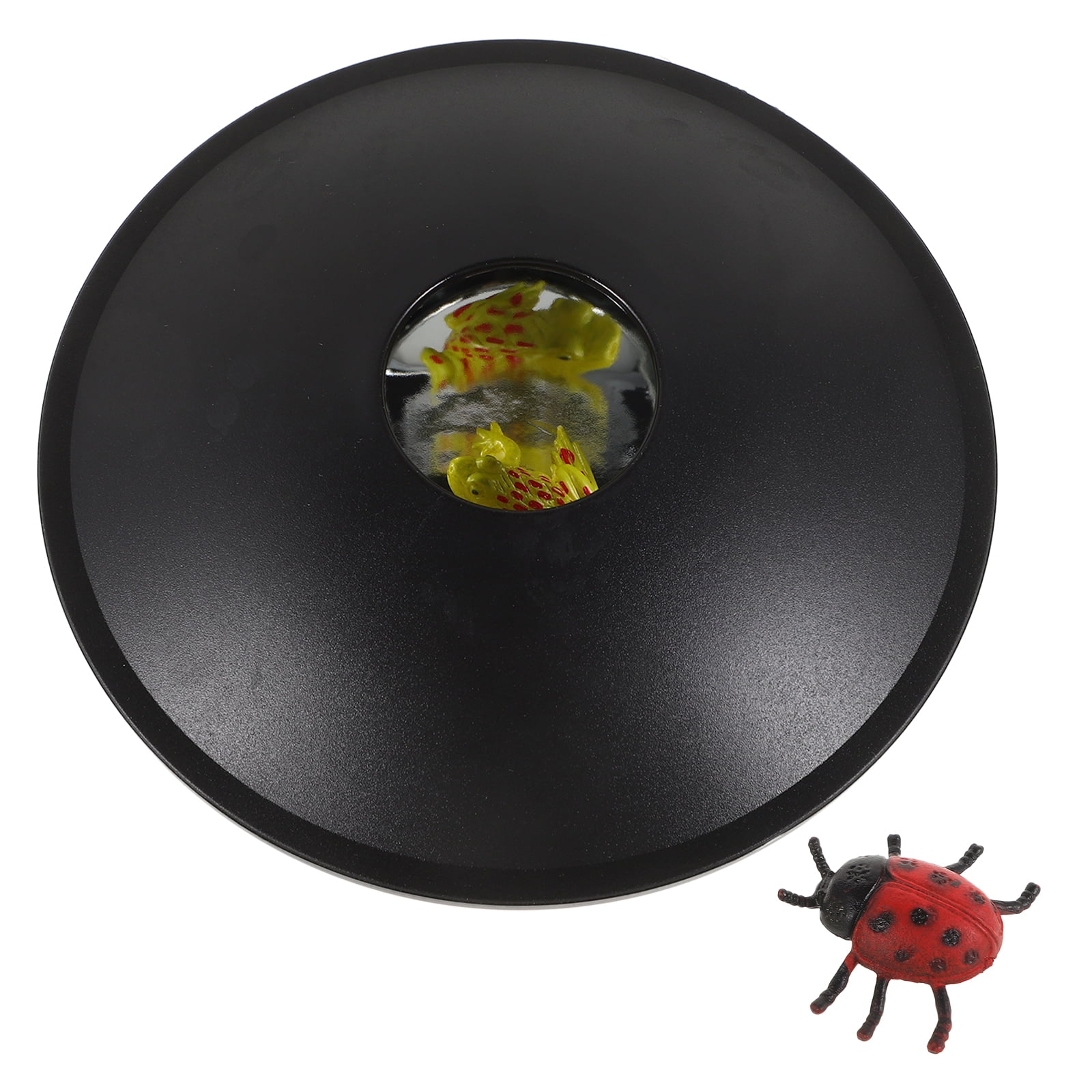 Hologram Toy