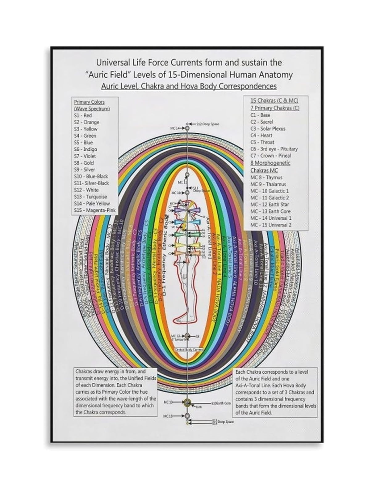 Educational Human Energy Field Poster, Illustrated Chakra and Anatomy ...