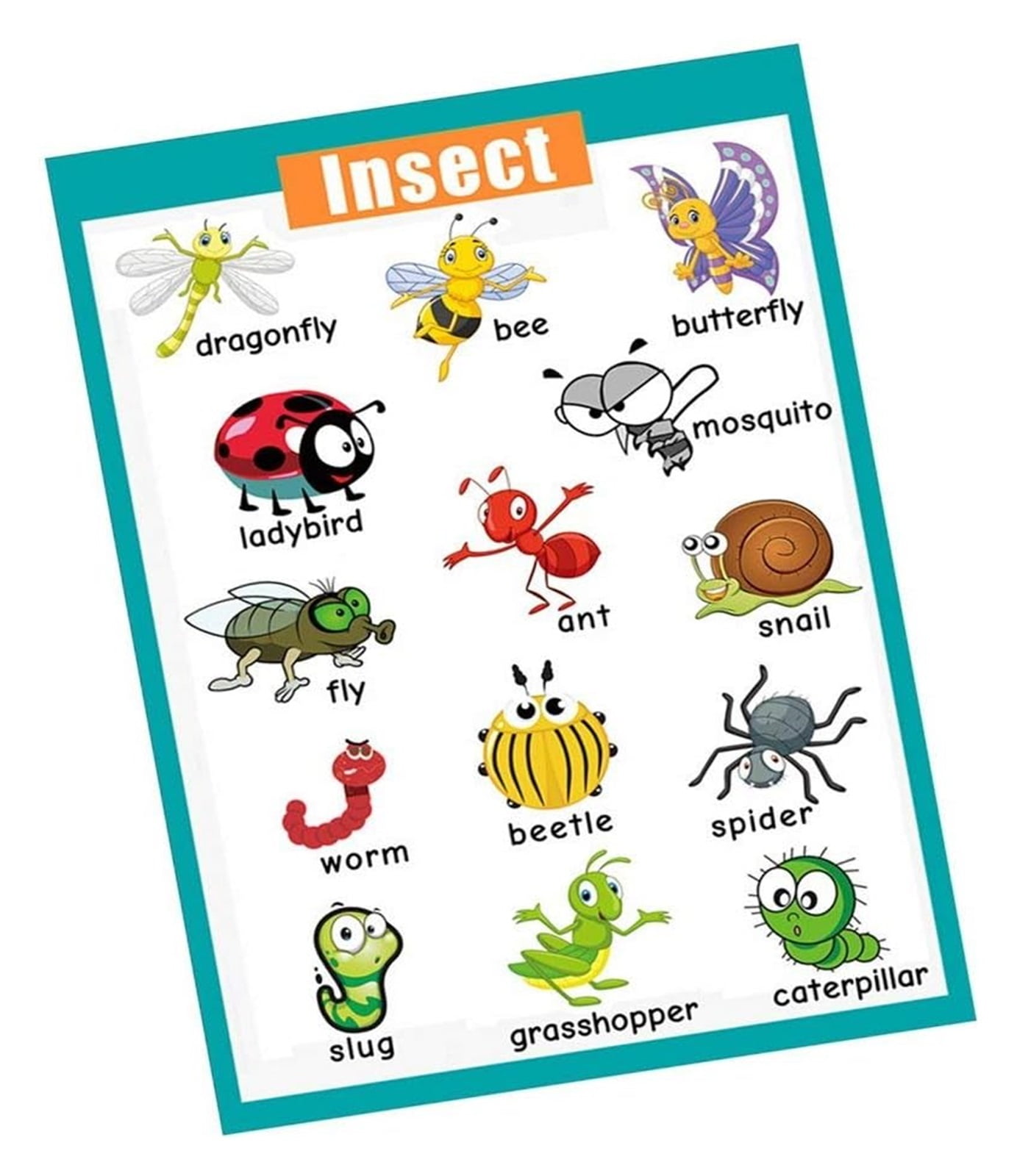 Educational Insects & Bugs Poster - Nature Learning Chart for Preschool ...