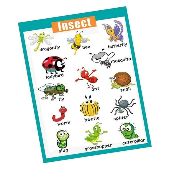 Educational Insects & Bugs Poster - Nature Learning Chart for Preschool ...