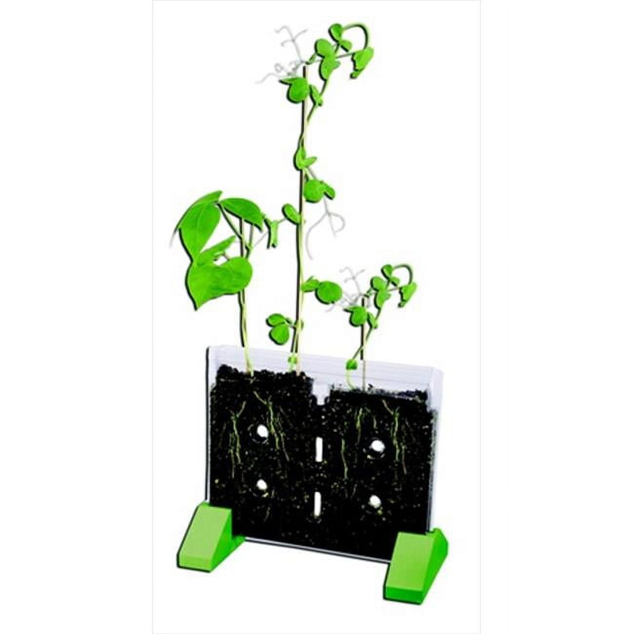 Educational Insights 070141 GeoSafari Sprout And Grow Window Kit ...