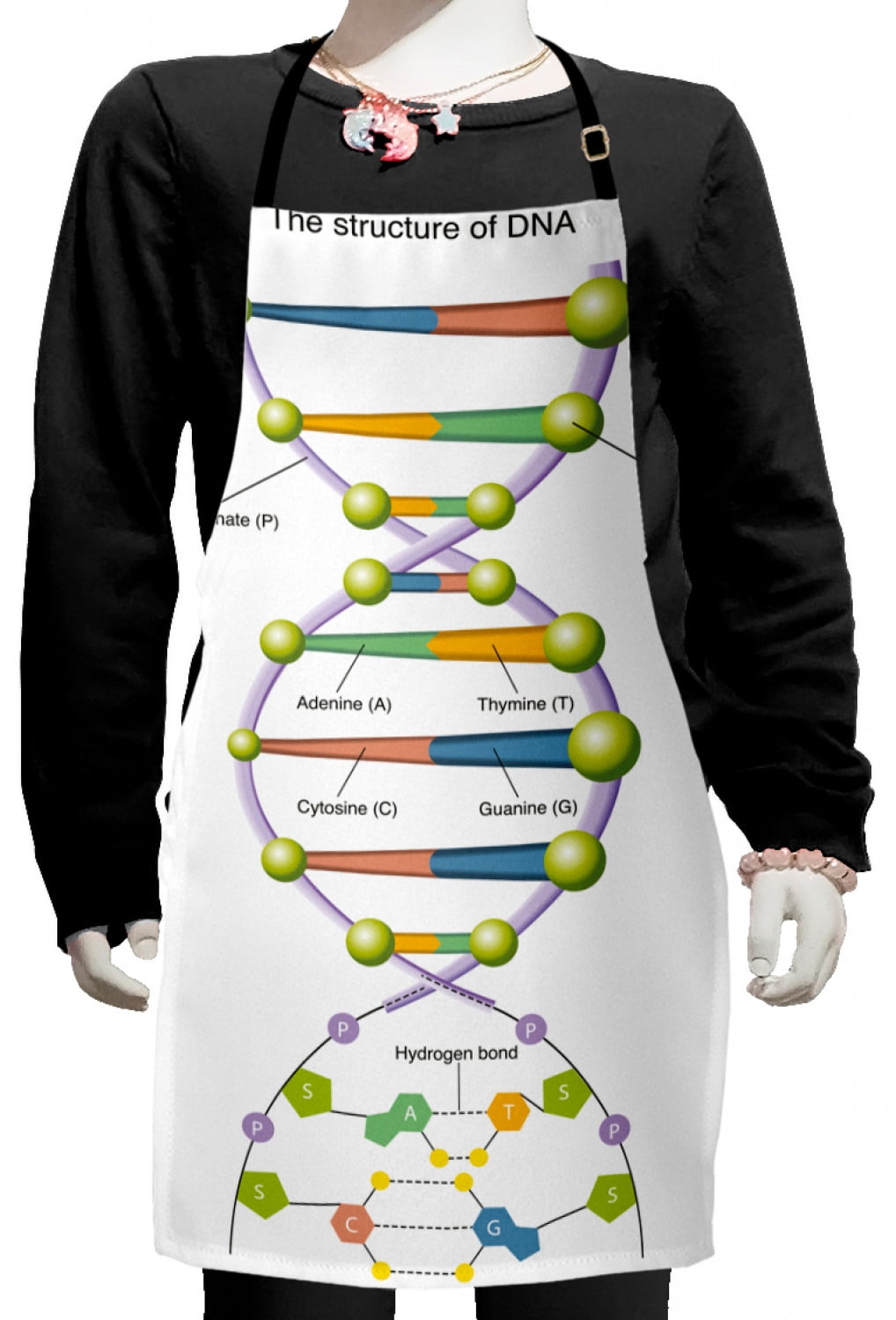 Educational Kids Apron, Colorful Structure of DNA Genetic Code Elements ...