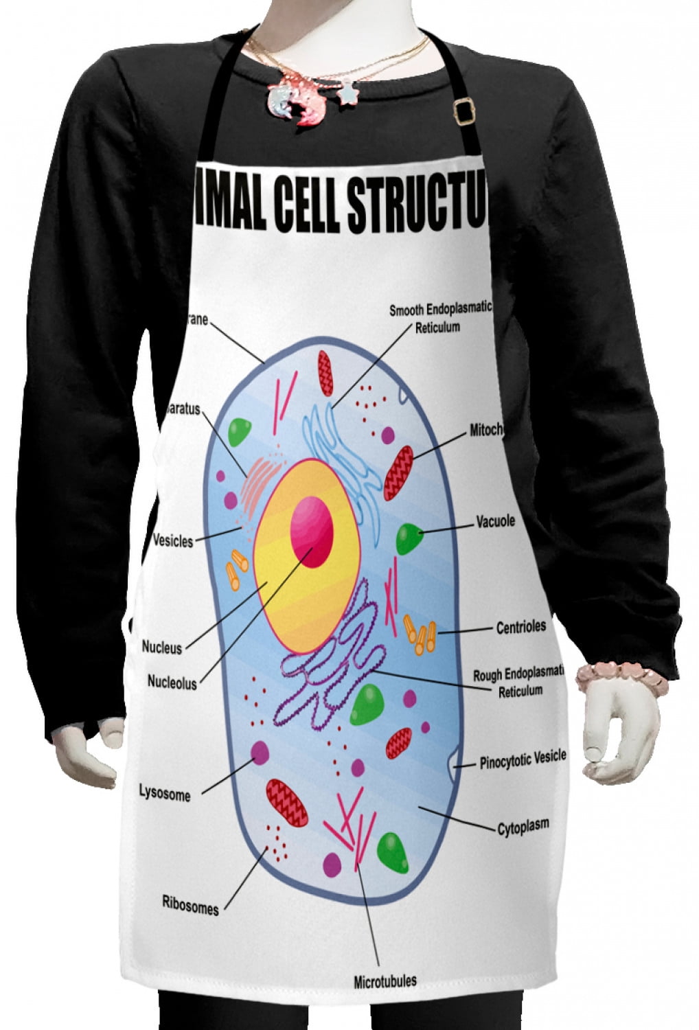 Educational Kids Apron, Microbiology Theme Animal Cell Structure ...