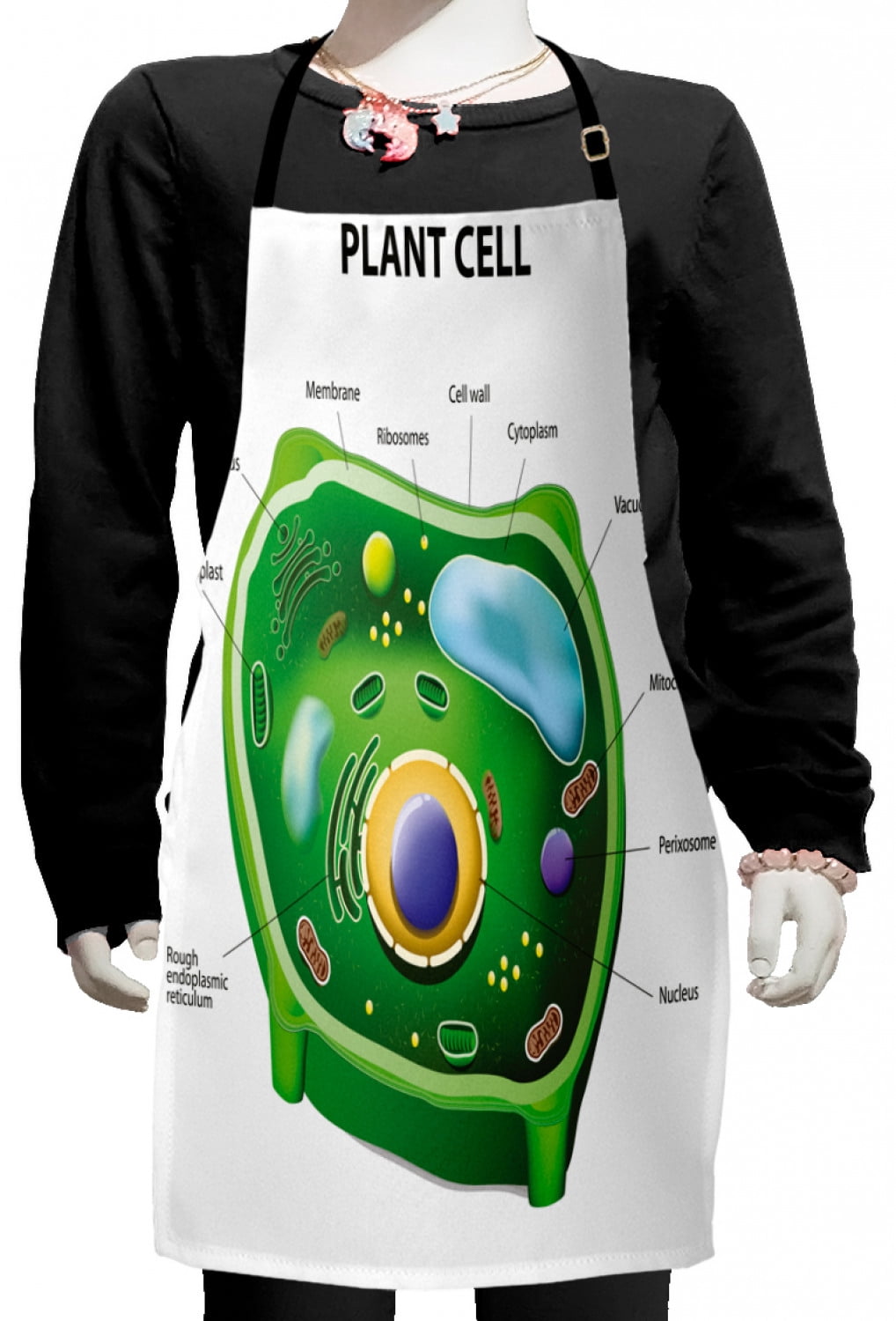 Educational Kids Apron, Plant Cell Biology Research Botany Anatomy ...