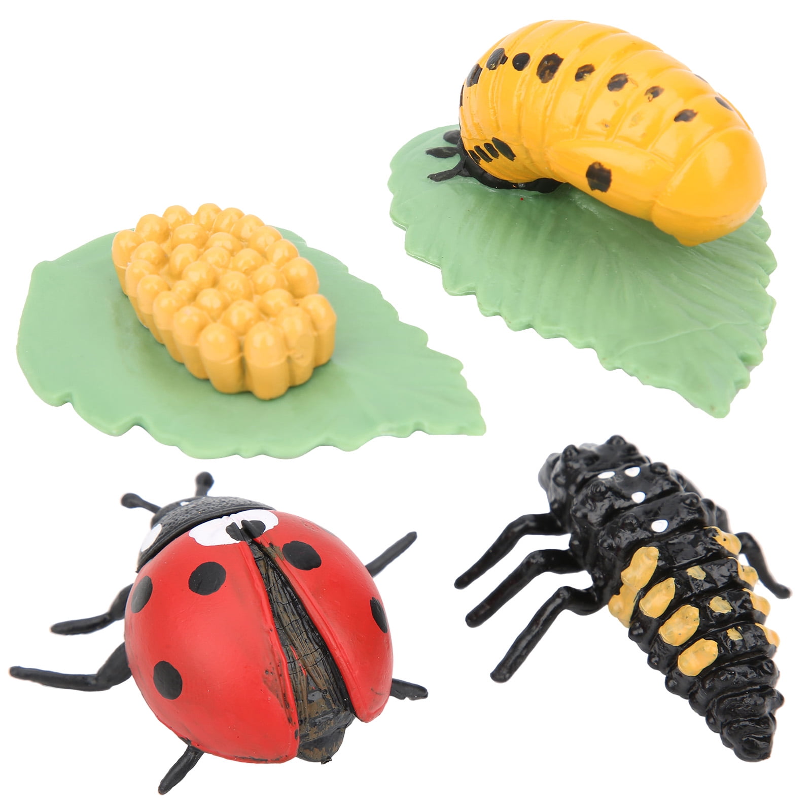 Educational Ladybug Toy Set Kids Learning Tool Insect Models - Walmart.com
