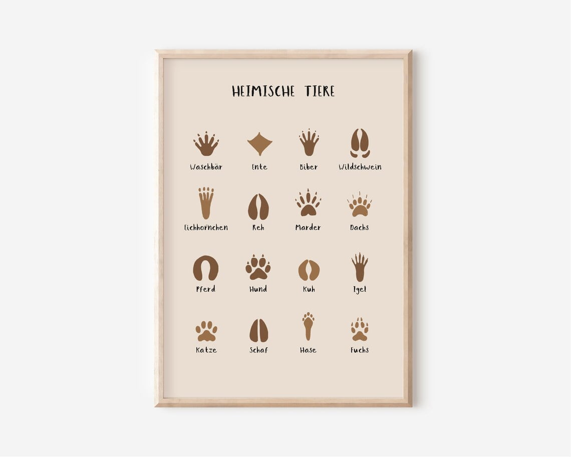 Educational Poster For Children'S Rooms: Footprints Of Native German ...