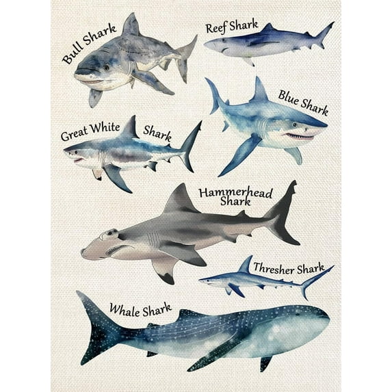 Educational Poster for Kid Classroom Decorations Kids Room Home Nursery ...