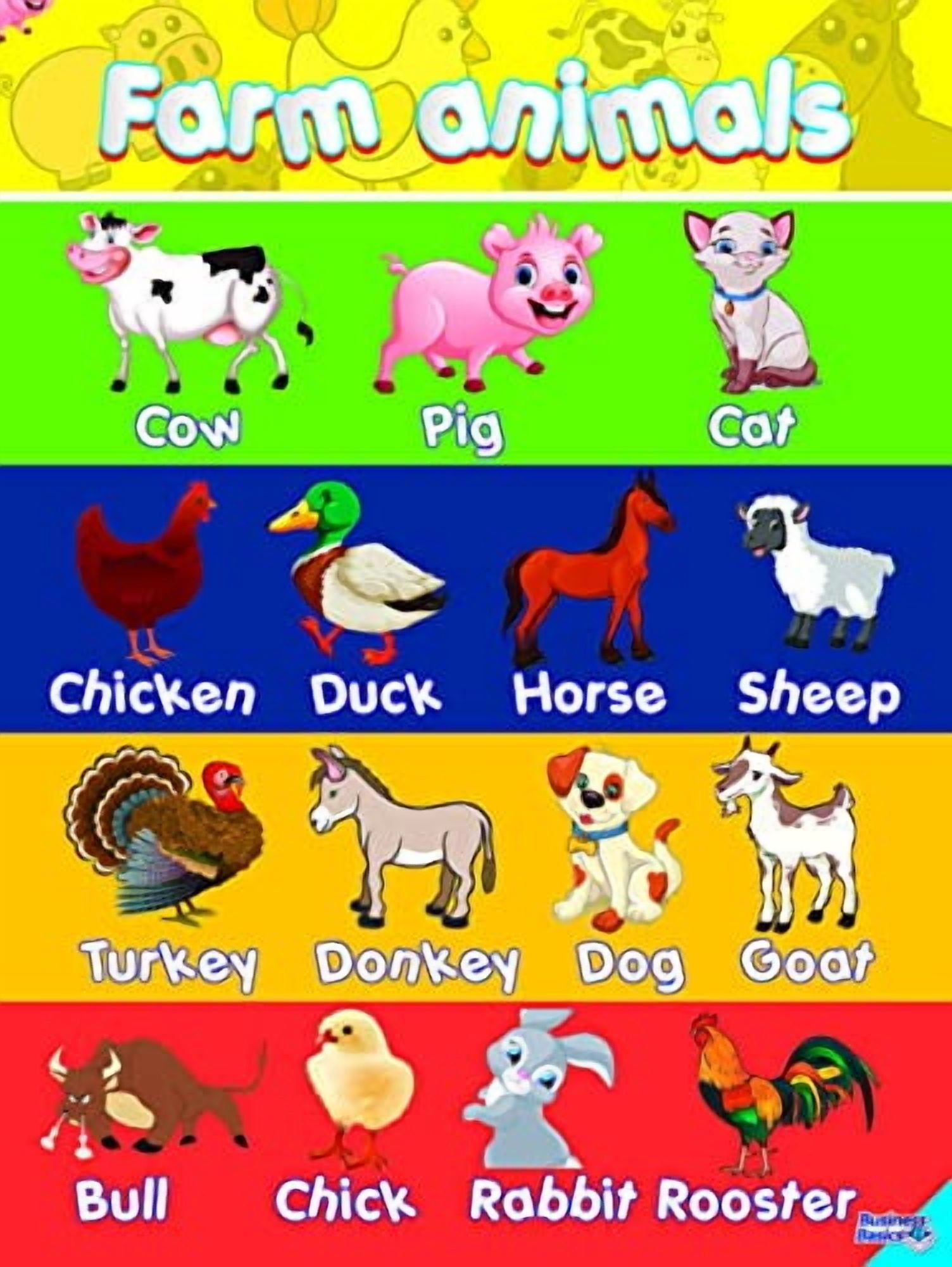 Educational Preschool Posters for Toddlers and Kids Perfect for ...